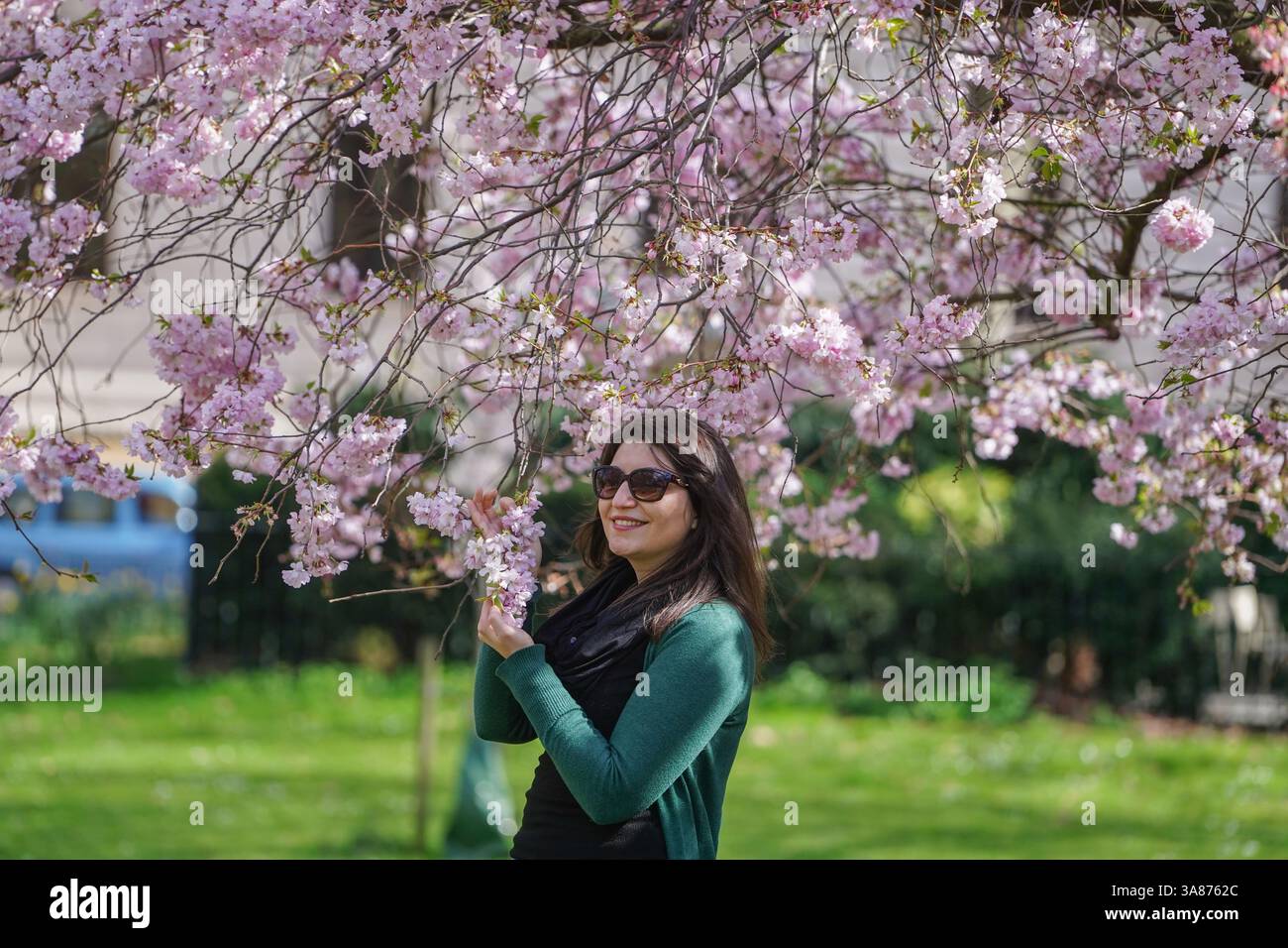 London, UK 28 March 2025. A tourist poses with the spring blossoms in ...