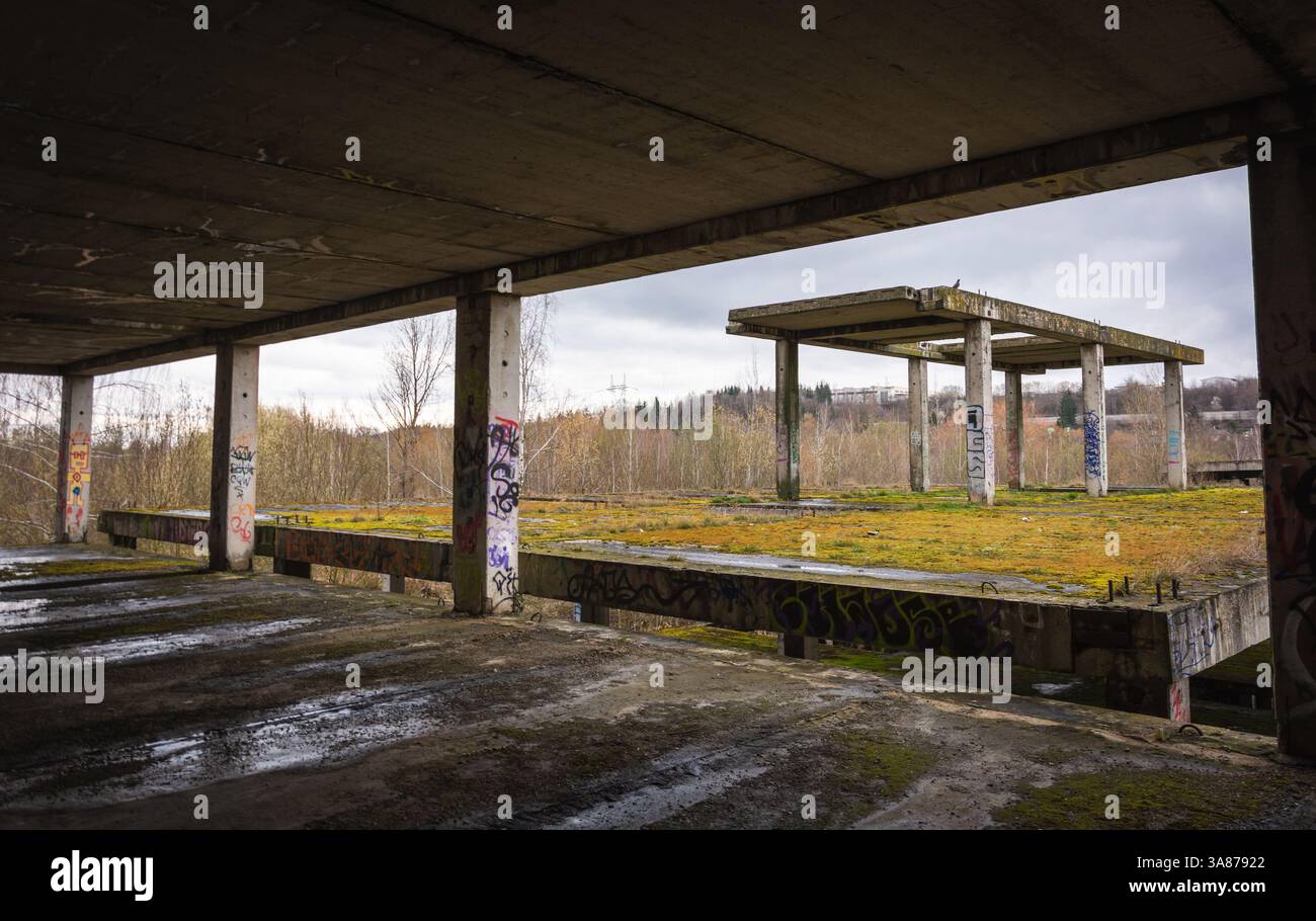 An old concrete building, of which only concrete ceilings overgrown ...