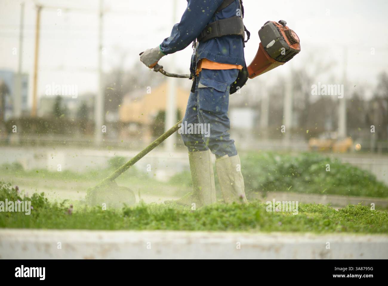 A person in protective clothing uses a gas-powered brush cutter to trim ...