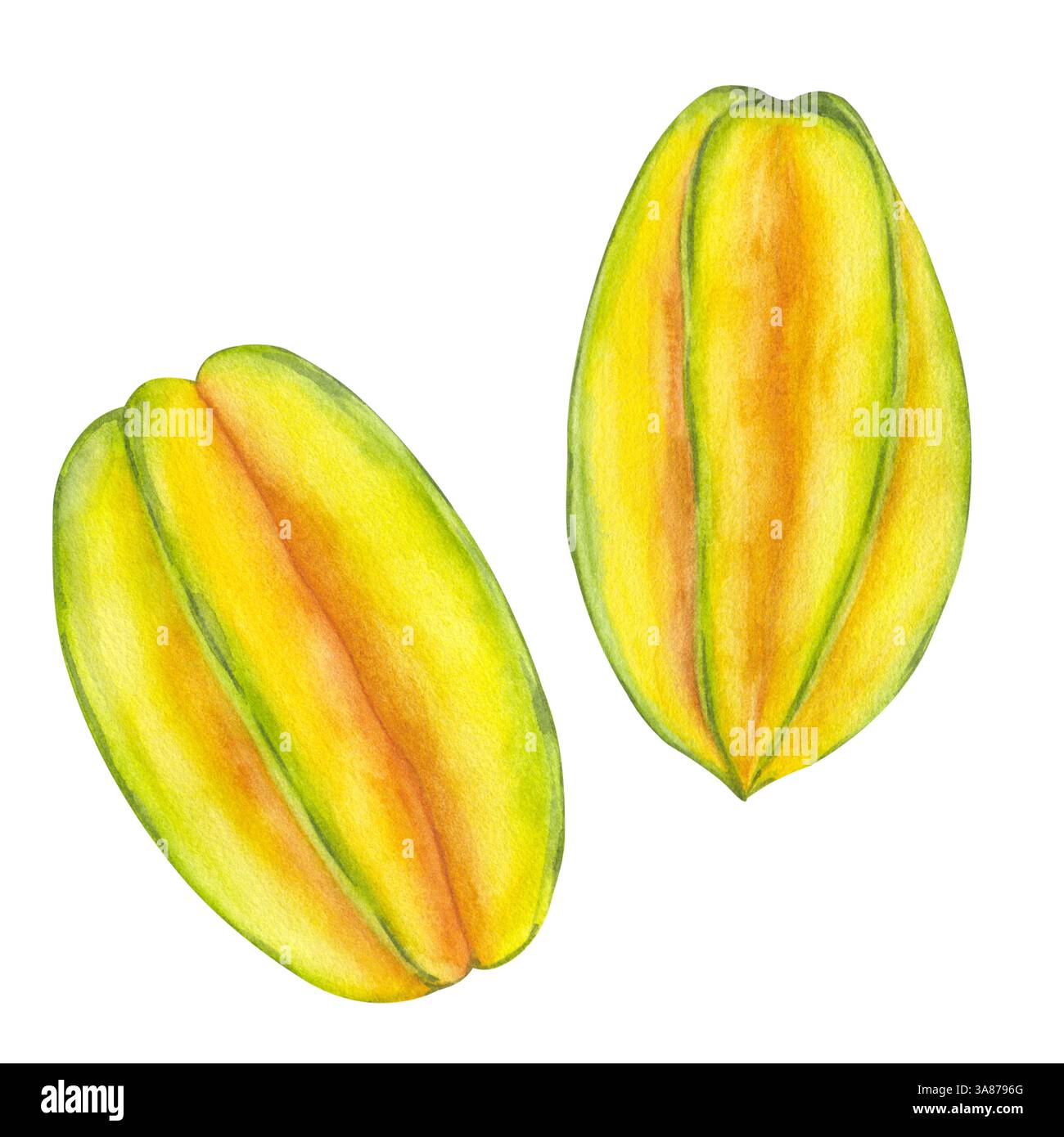 Watercolor whole Starfruit set. Yellow tropical Averrhoa carambola or ...