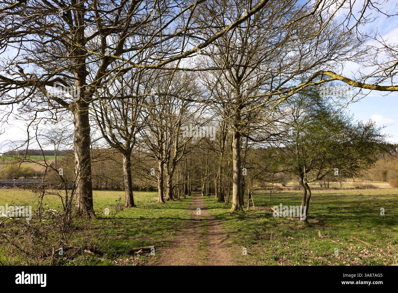 Chess Valley countryside in the village of Sarratt area of River Chess ...
