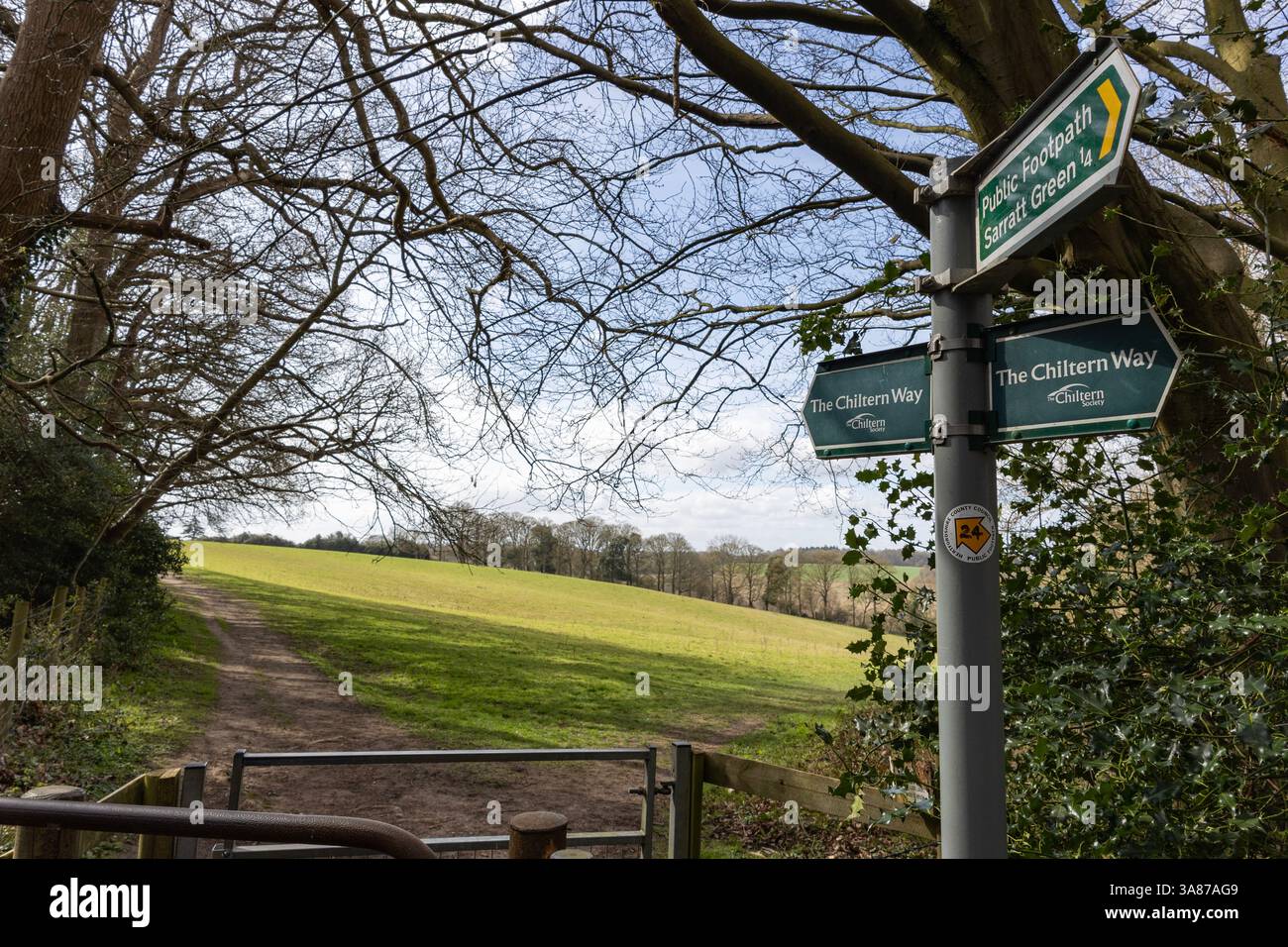 Chiltern Way walk for ramblers and walkers in the countryside in the ...