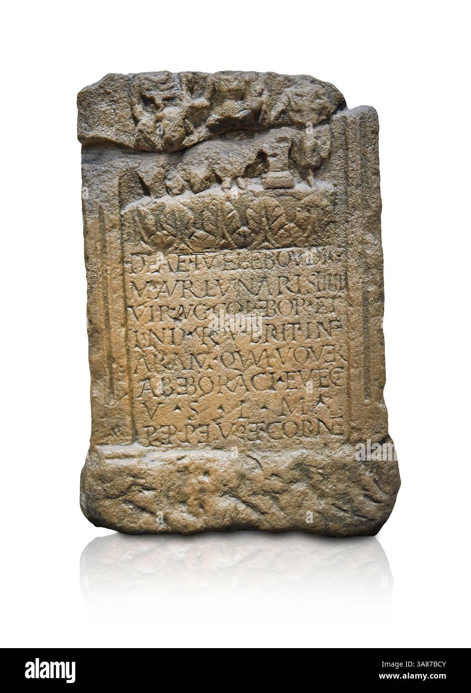 Museum set up Cut Out Stock Images & Pictures - Alamy