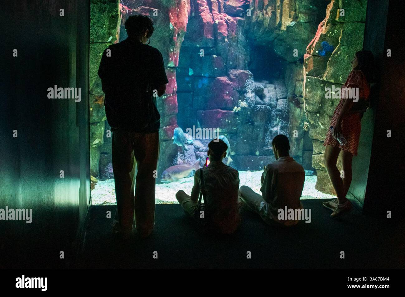 busy tourist spot with people gathering at aquarium entrance in ...