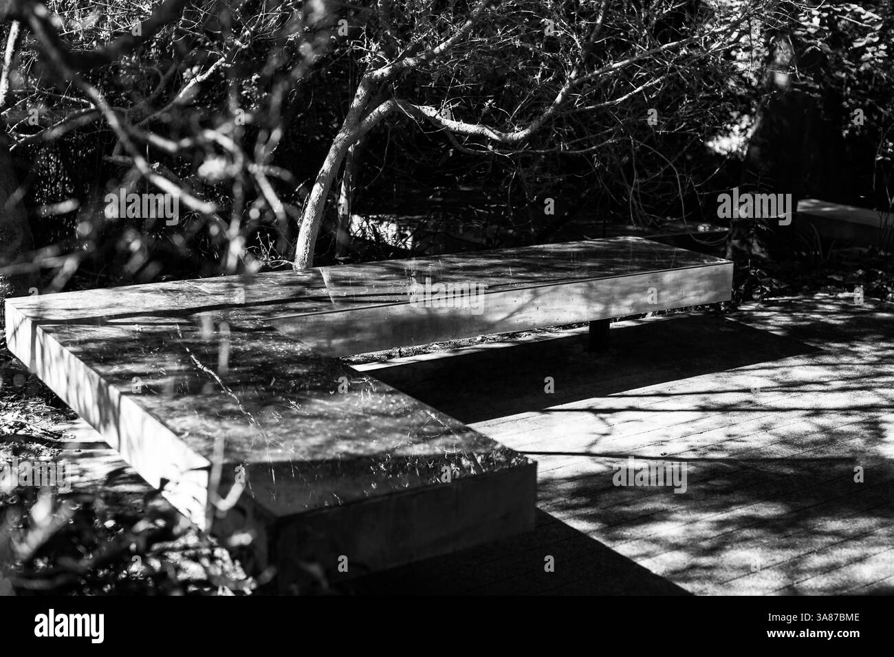 Serene shade Black and White Stock Photos & Images - Alamy