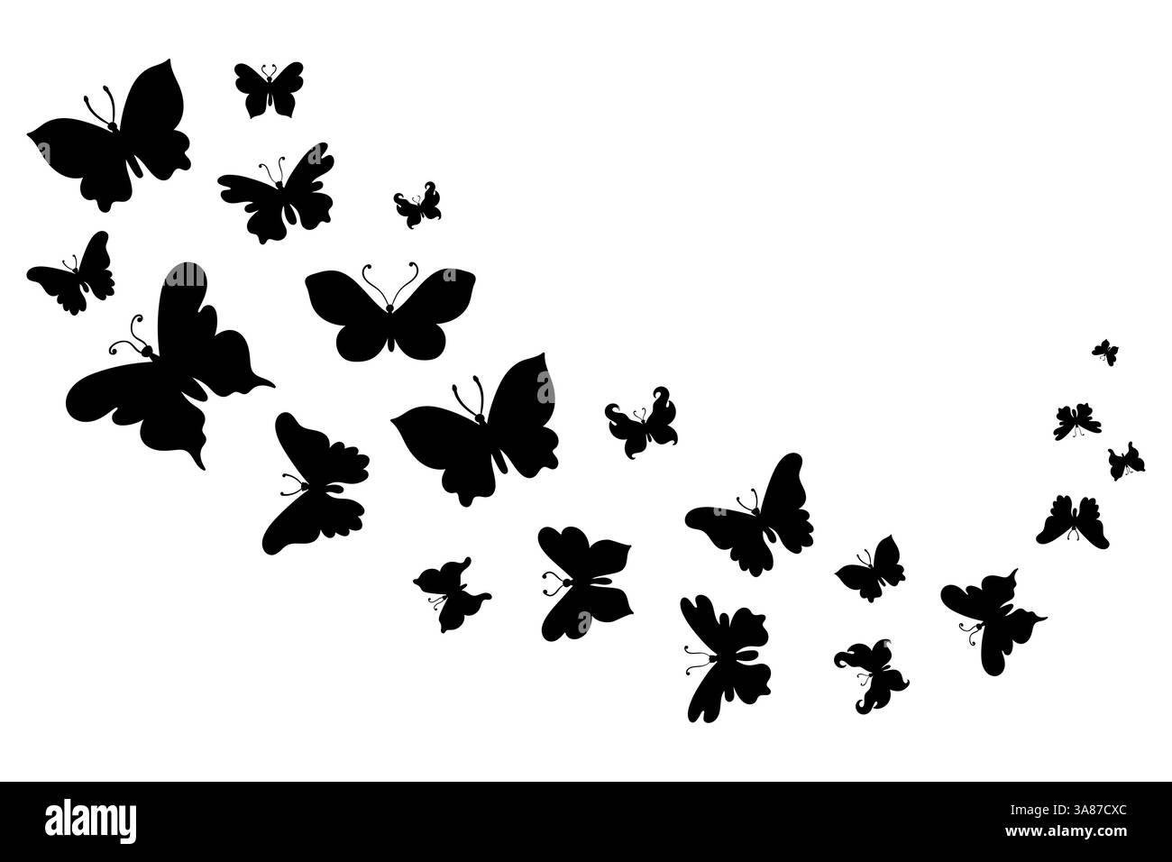 Butterflies silhouette flying, curve arrangement isolated on white ...