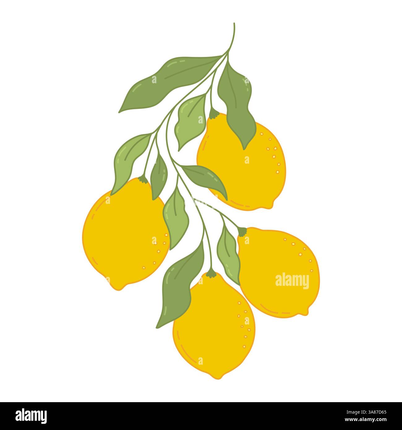 Hand Drawn Lemon Fruits Branch Isolated on White Background. Branch ...