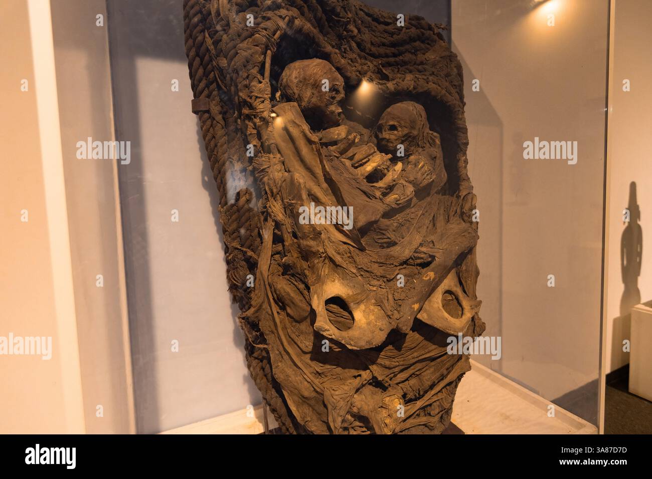 Wooden historical artifacts in the African Museum of Black ...