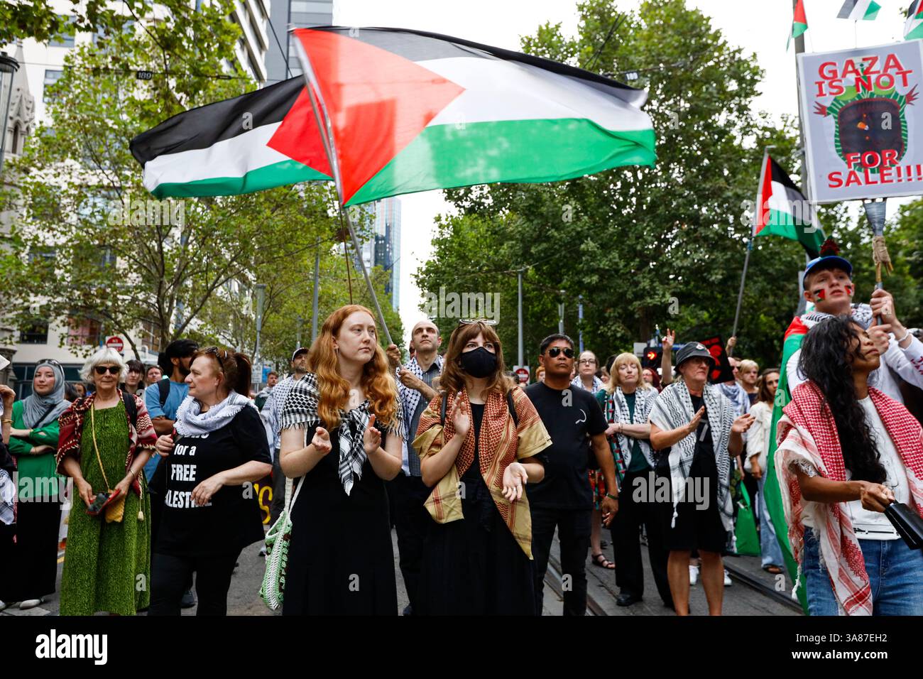 Marchers wave the Palestinian flag holding placards demanding the ...
