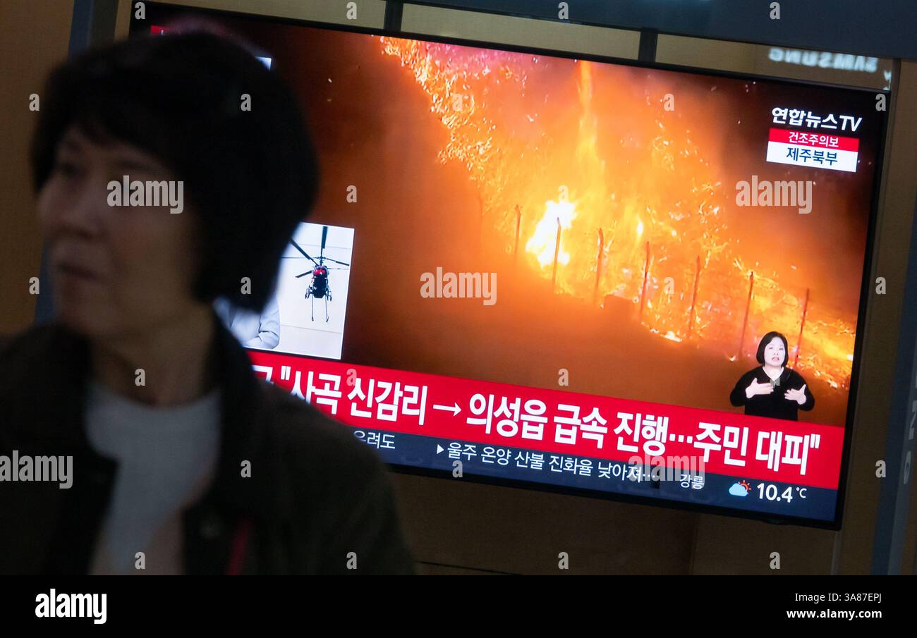 Worst-ever wildfires in South Korea, Mar 26, 2025 : A TV screen at a ...