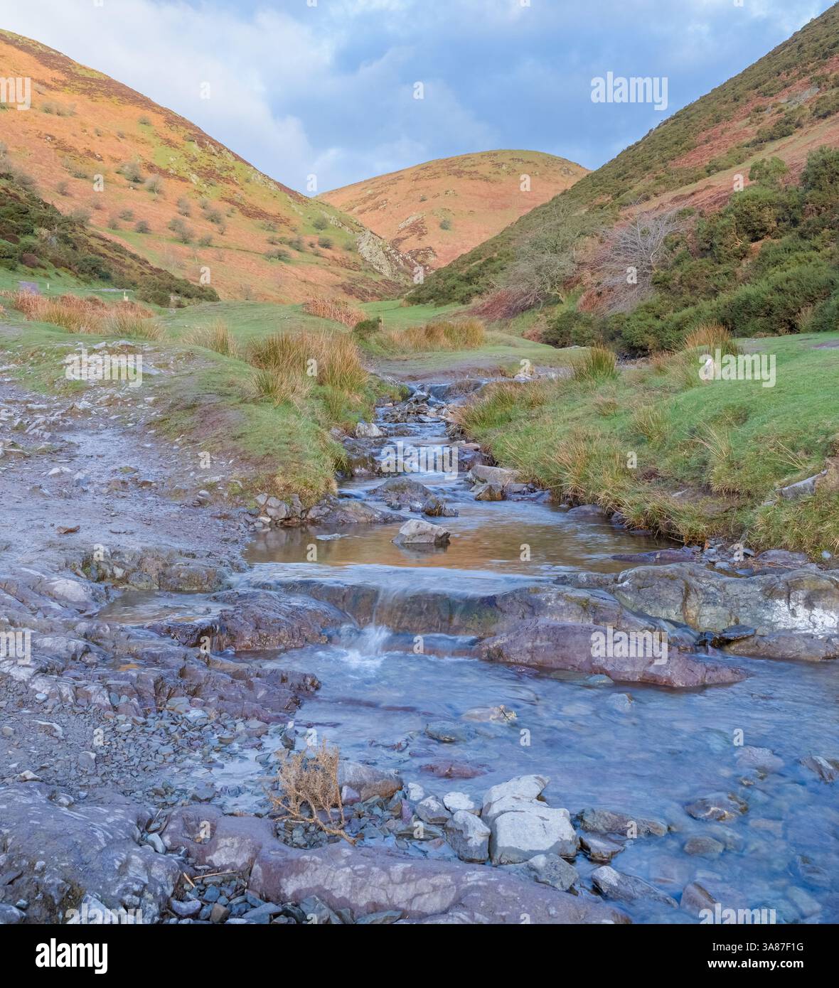 Stream in the Shropshire Hills in the UK, Long Mynd hills national park with a flowing brook in ...
