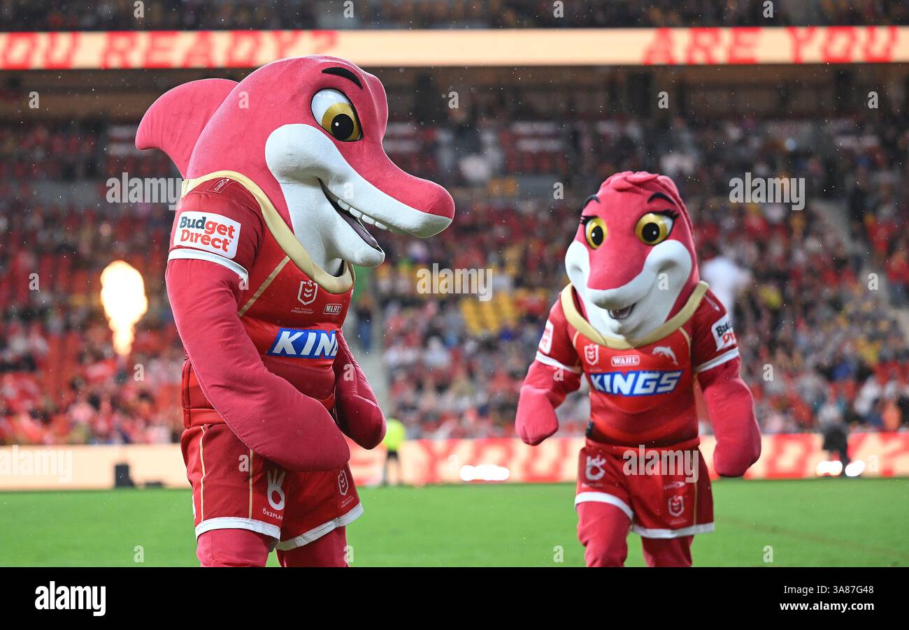 Brisbane, Australia. 28th Mar, 2025. Dolphins mascots are seen during ...