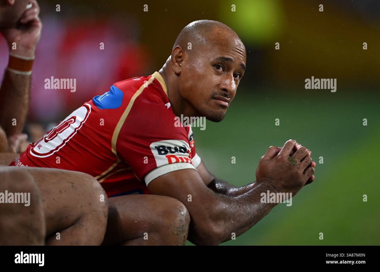 Brisbane, Australia. 28th Mar, 2025. Felise Kaufusi of the Dolphins ...