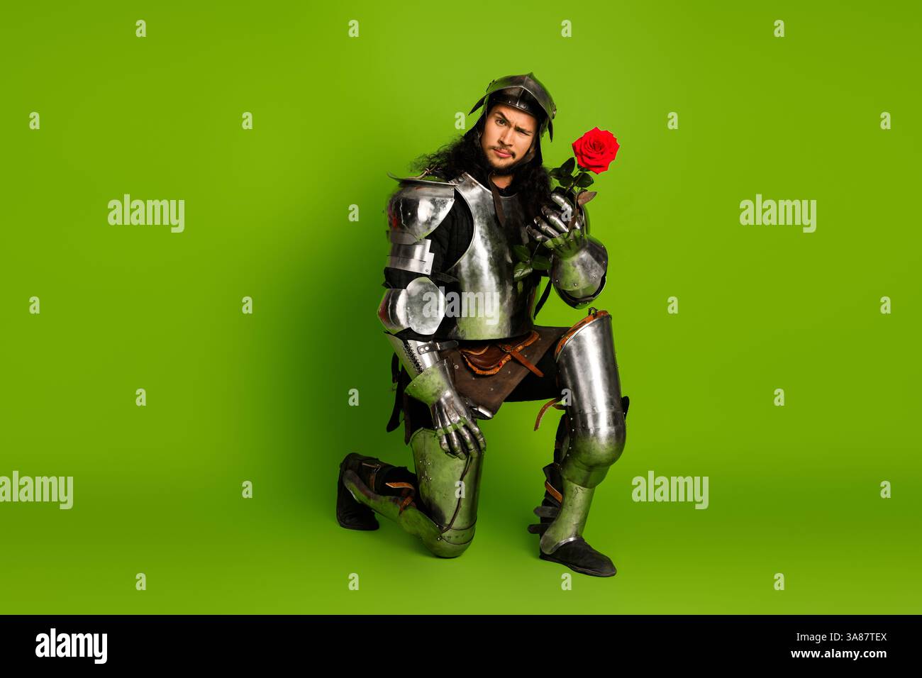 Medieval knight with rose in armor posing on vibrant green background ...