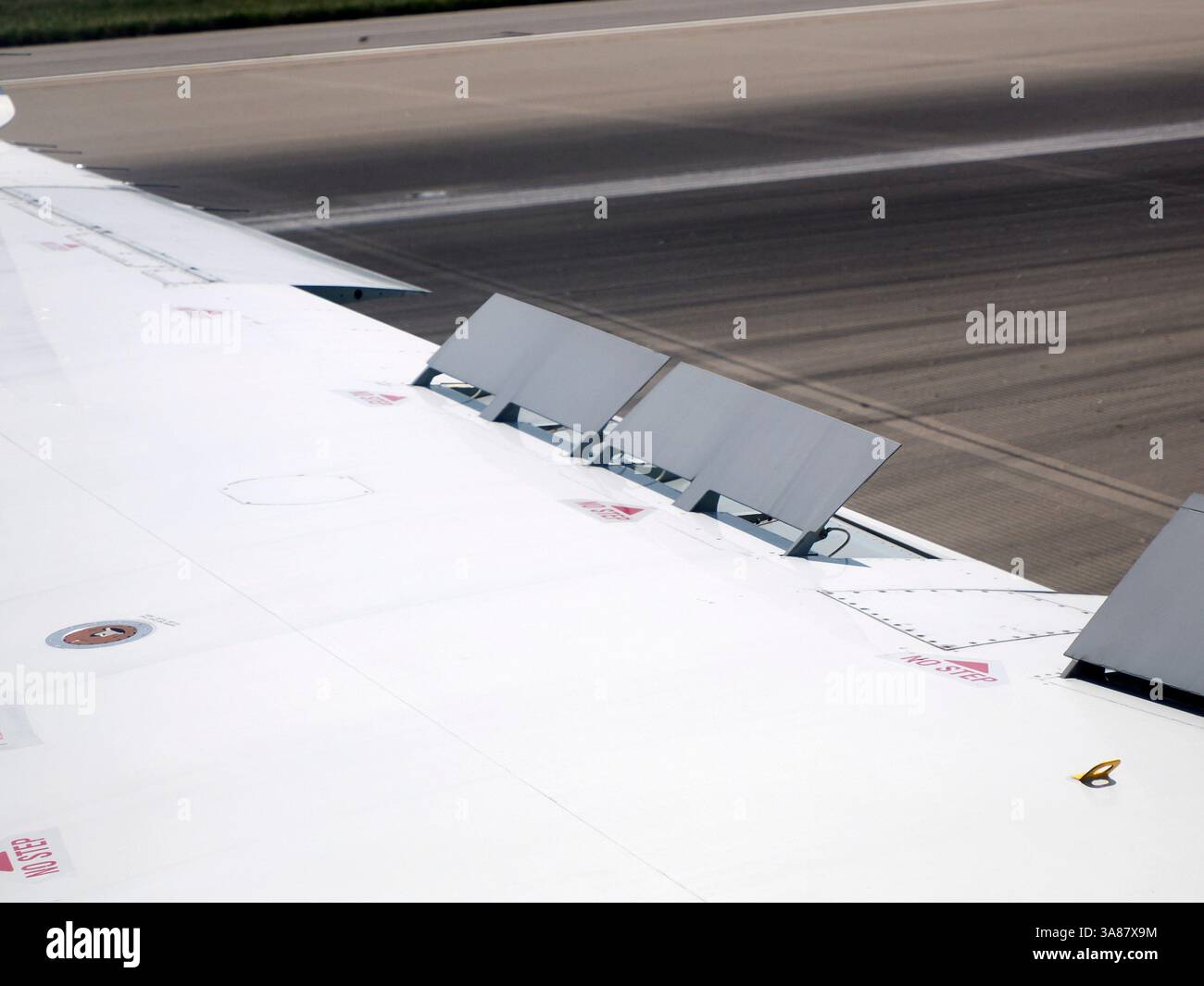 Big flaps wings hi-res stock photography and images - Alamy