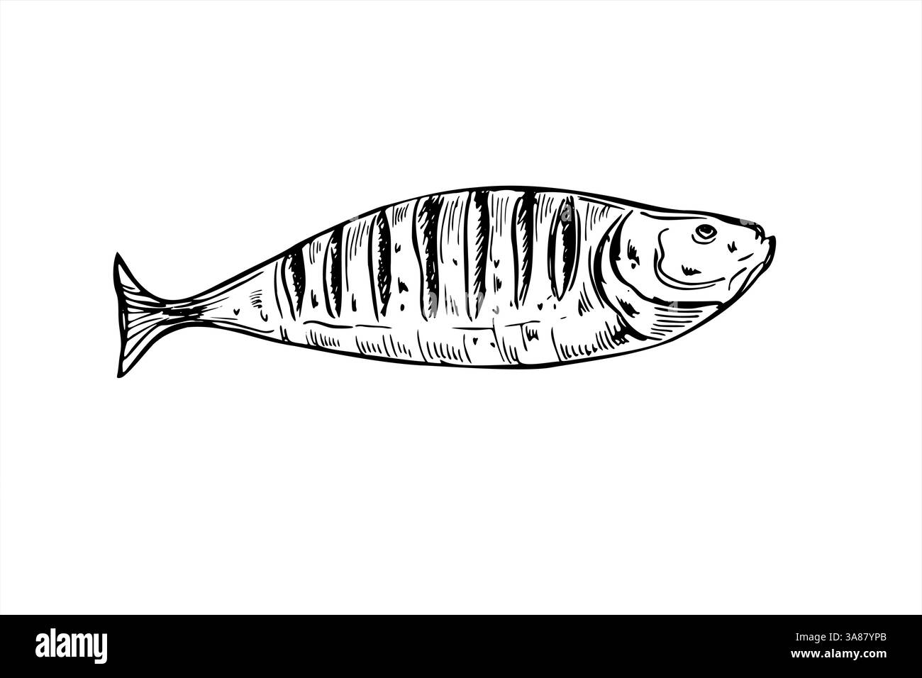 Vector whole fish grilled on charcoal grate line ink illustration in ...