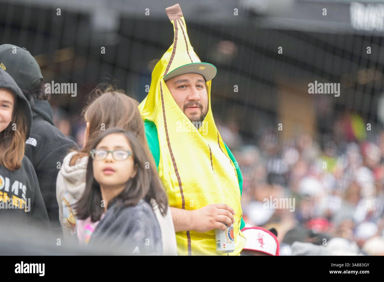 Chicago, United States. 27th Mar, 2025. Chicago White Sox fan dressed ...