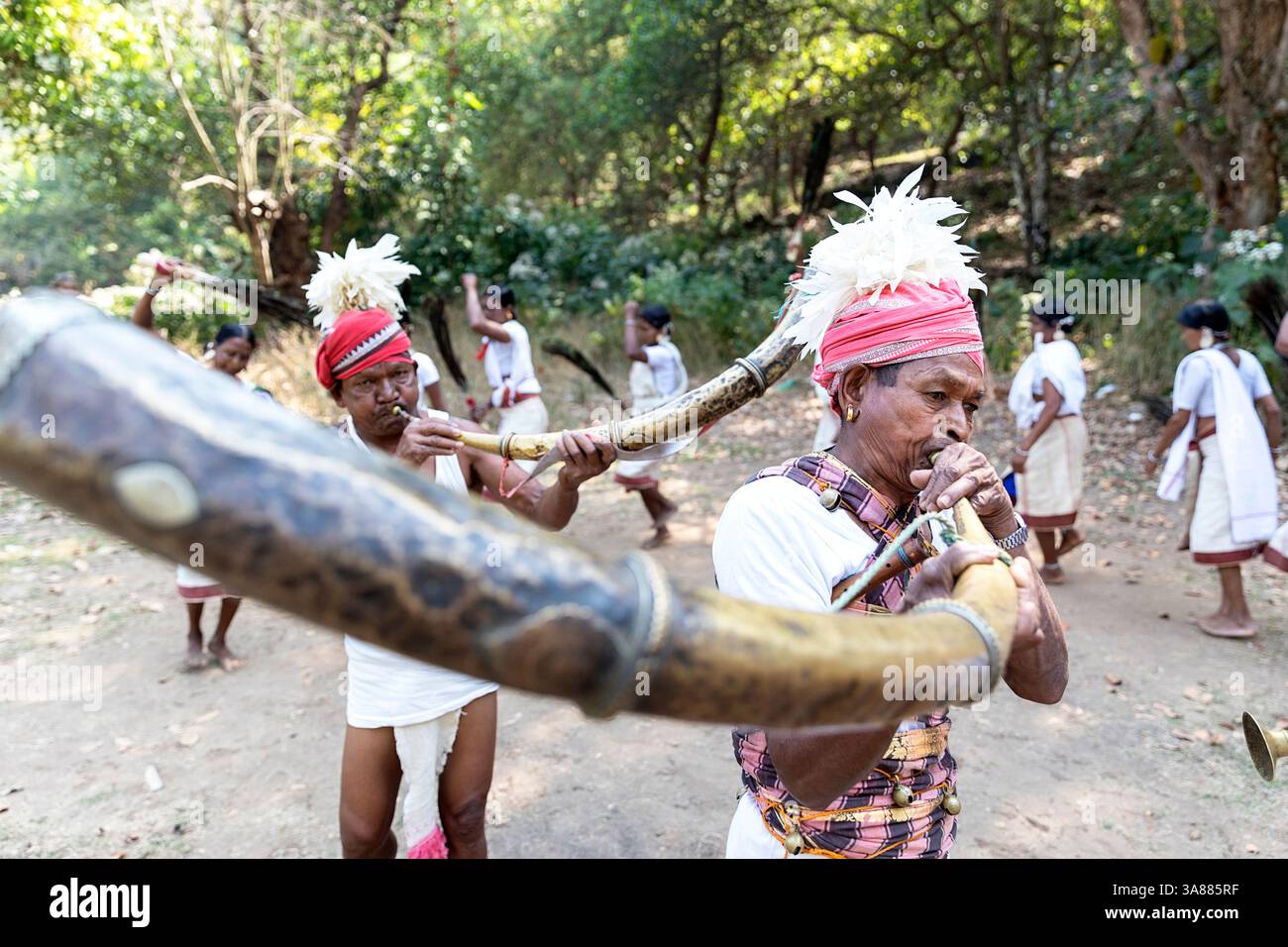 Women and men from Lanjia Saura tribe in Orissa, India, women dressed ...