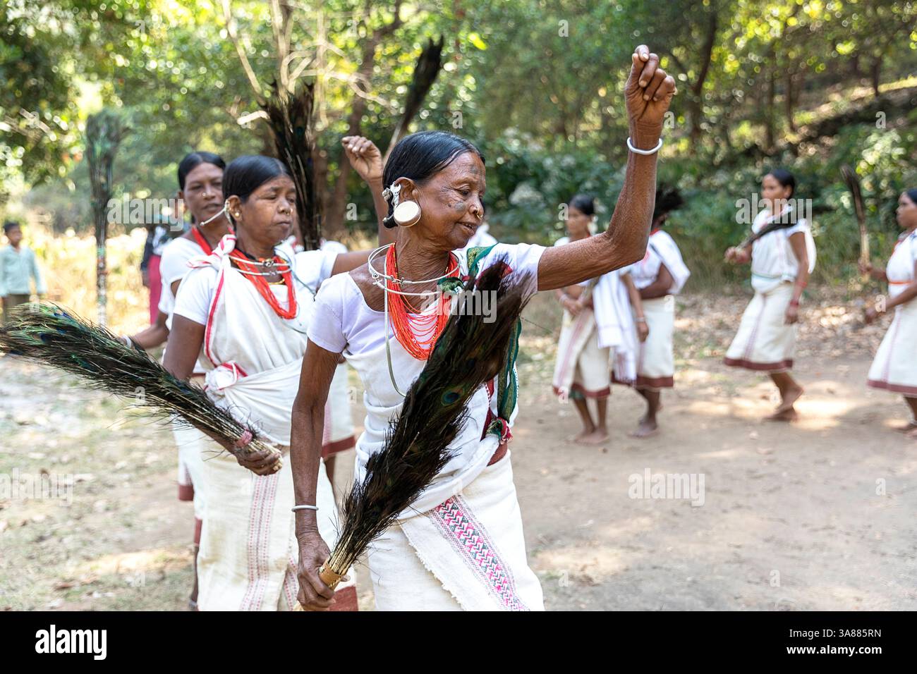 Women and men from Lanjia Saura tribe in Orissa, India, women dressed ...