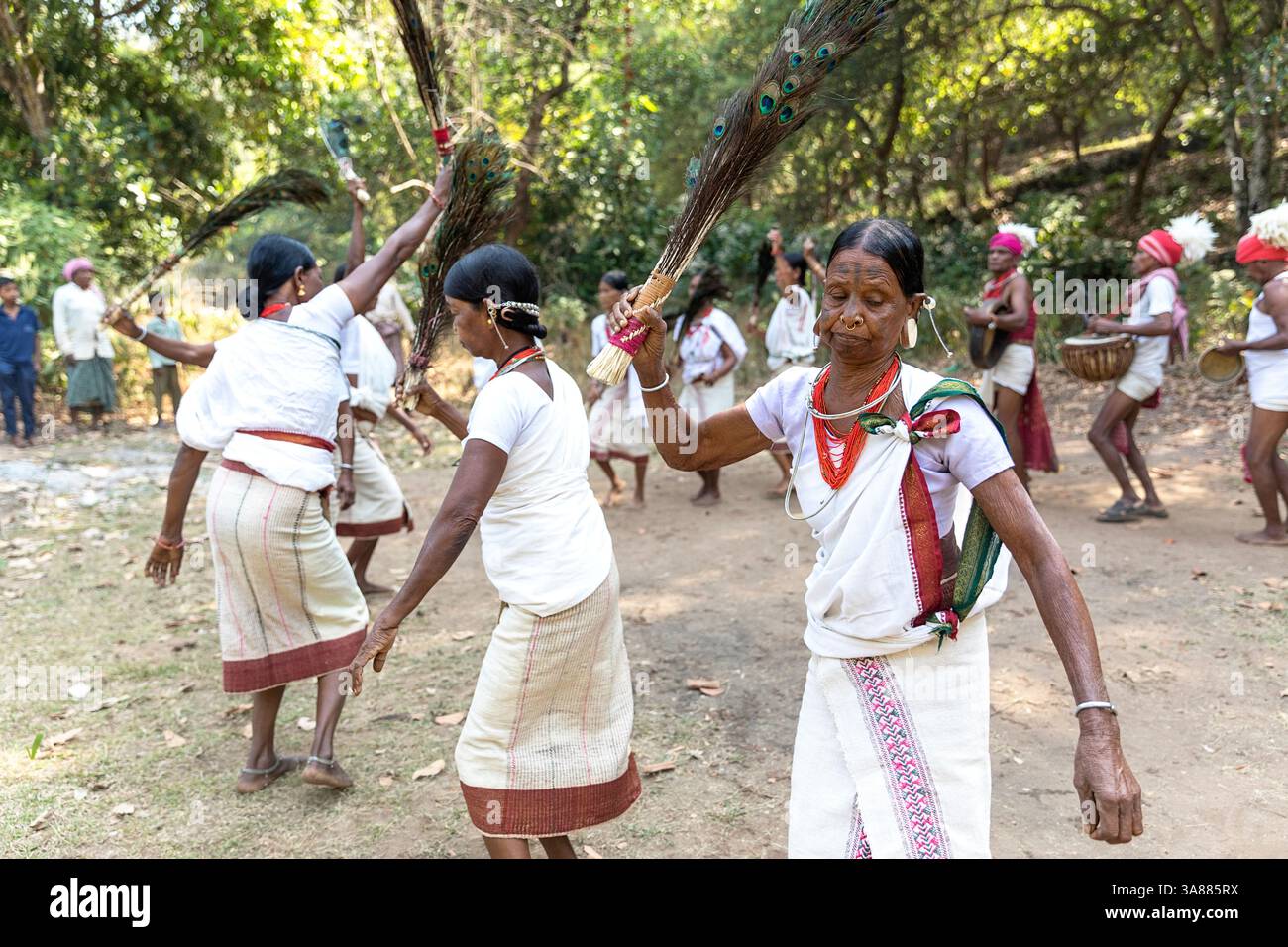Women and men from Lanjia Saura tribe in Orissa, India, women dressed ...
