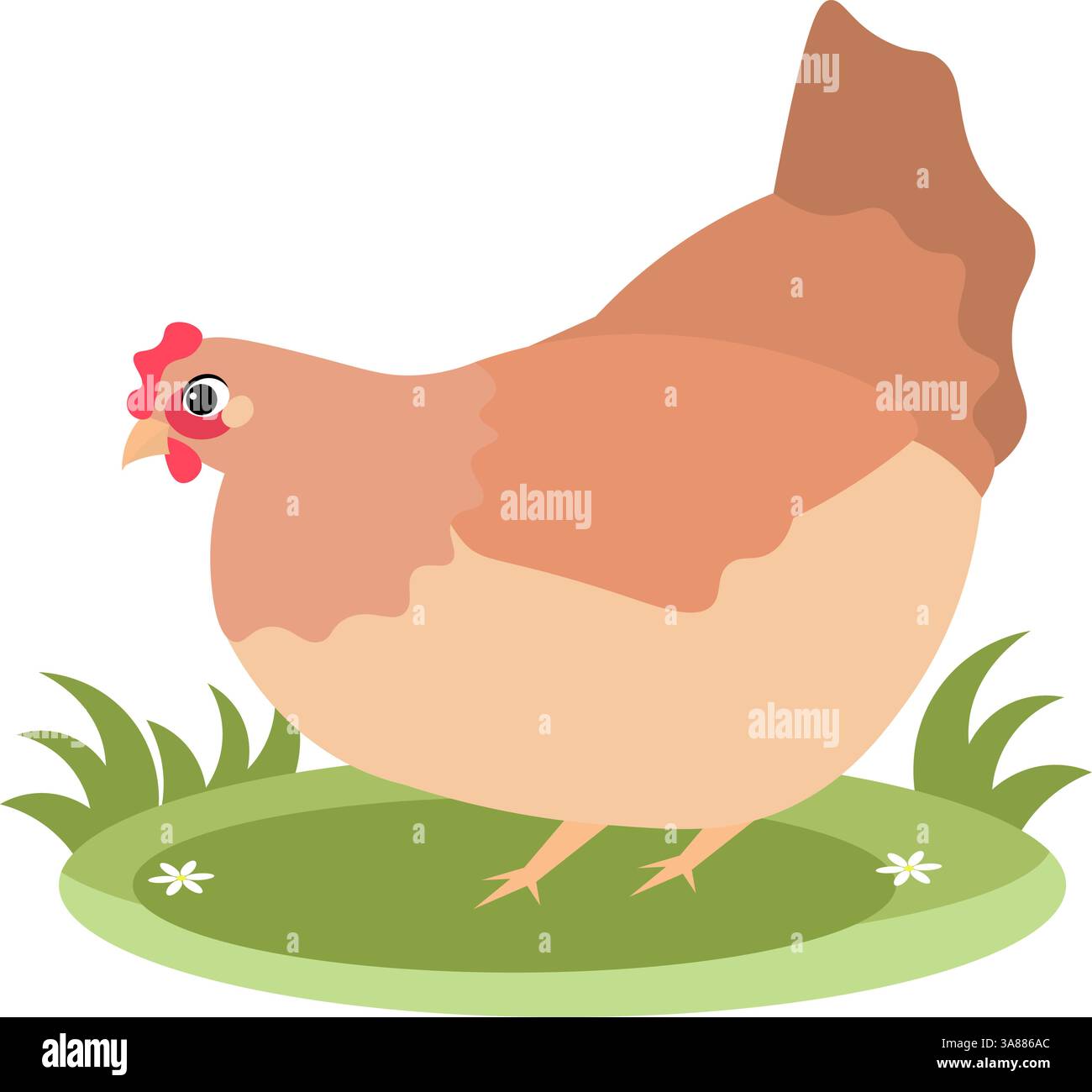 Farm Animals. Cute farm. The red hen stands on the green grass ...