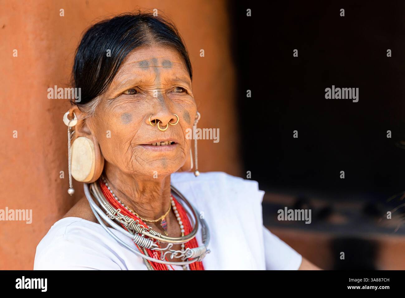 Woman from a Lanjia Saura tribe in Orissa, India, beautiful jewelry ...