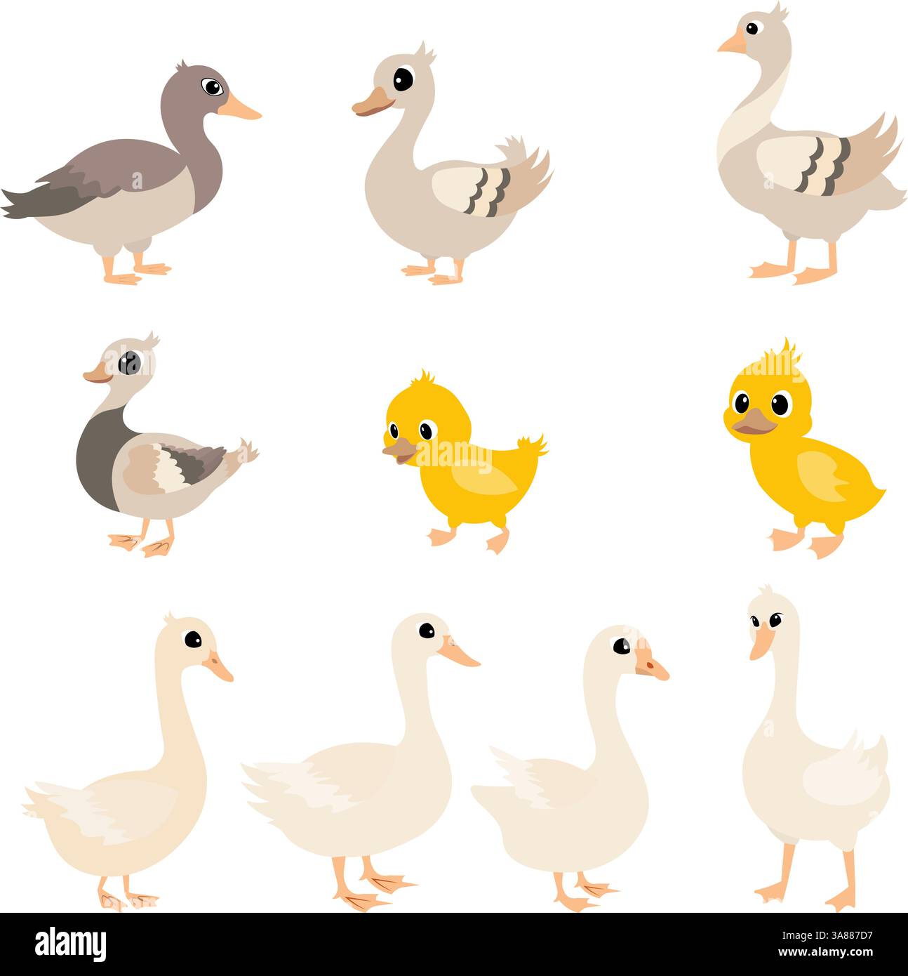 Farm Animals. Cute farm. Set of ducks and geese. Collection of farm ...
