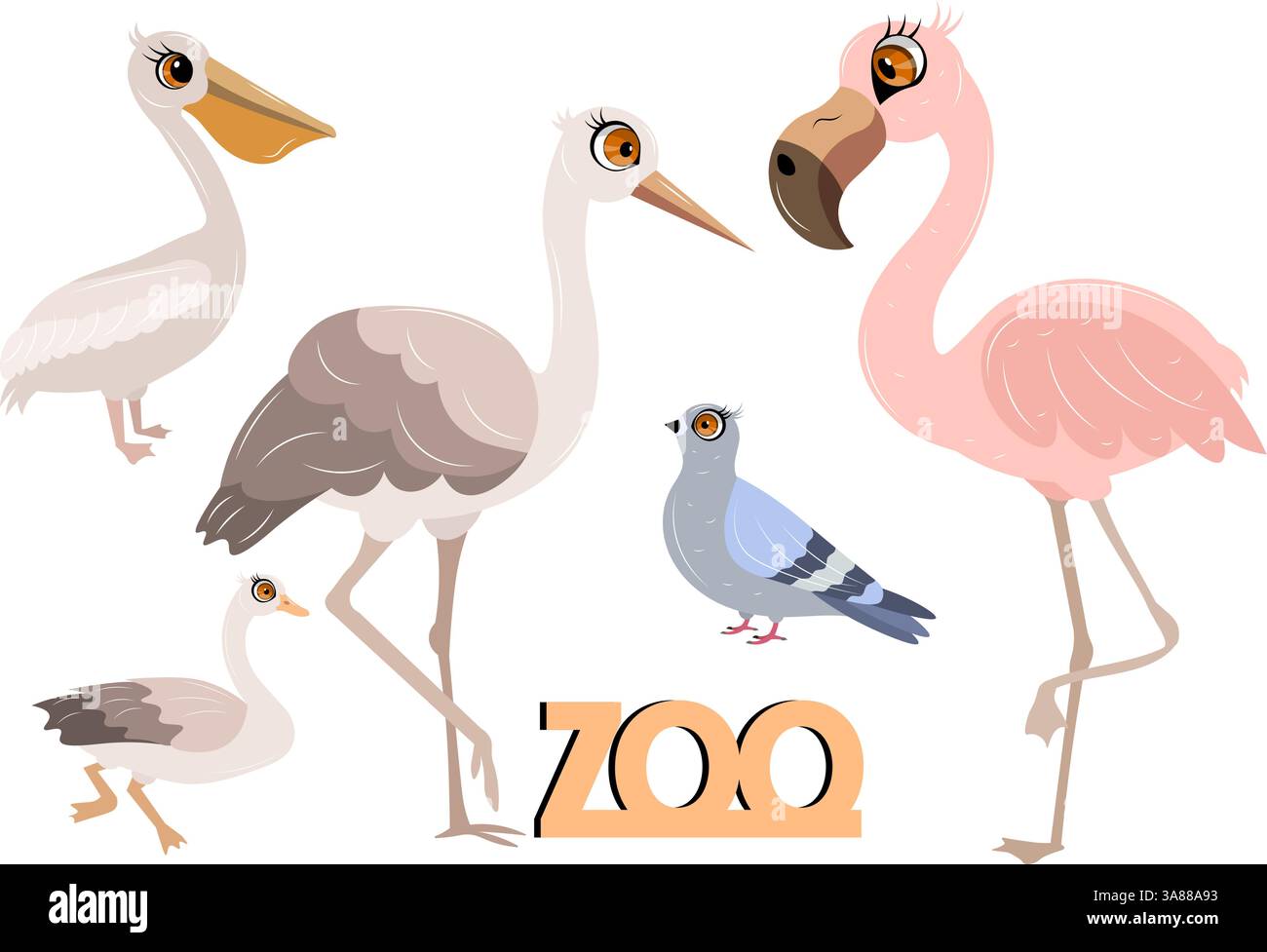 Cute zoo. Vector birds. Set of flamingo, stork, pelican, dove and goose ...