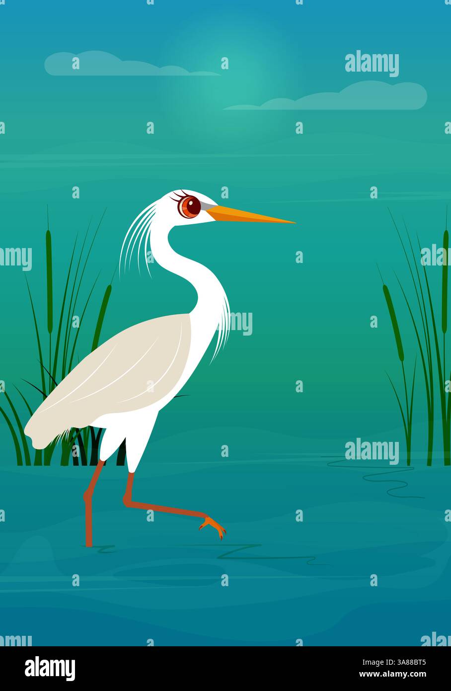 Vector birds. A white heron stands on a green swamp. Animals collection ...