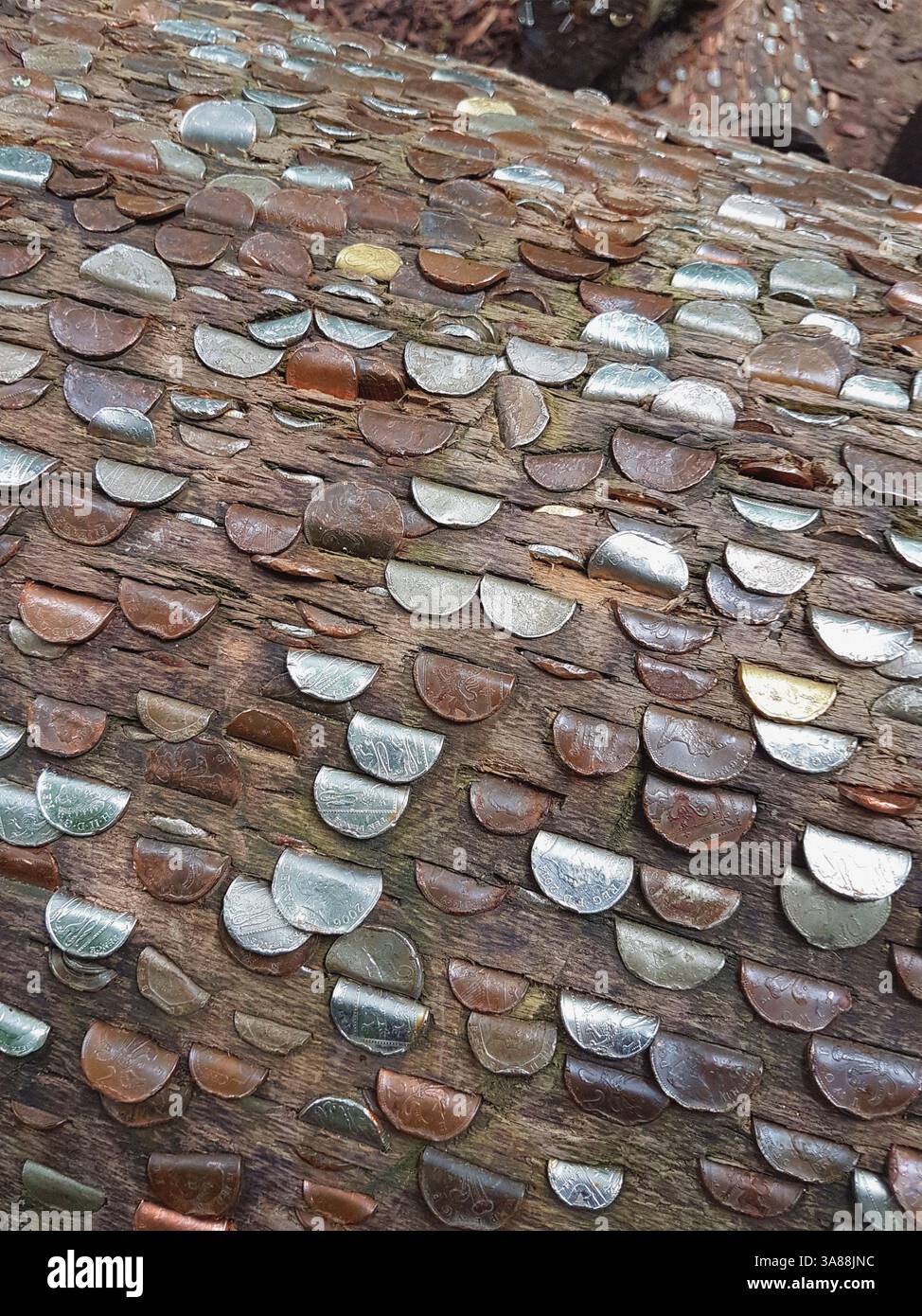 Mother shipton’s cave bridge hi-res stock photography and images - Alamy