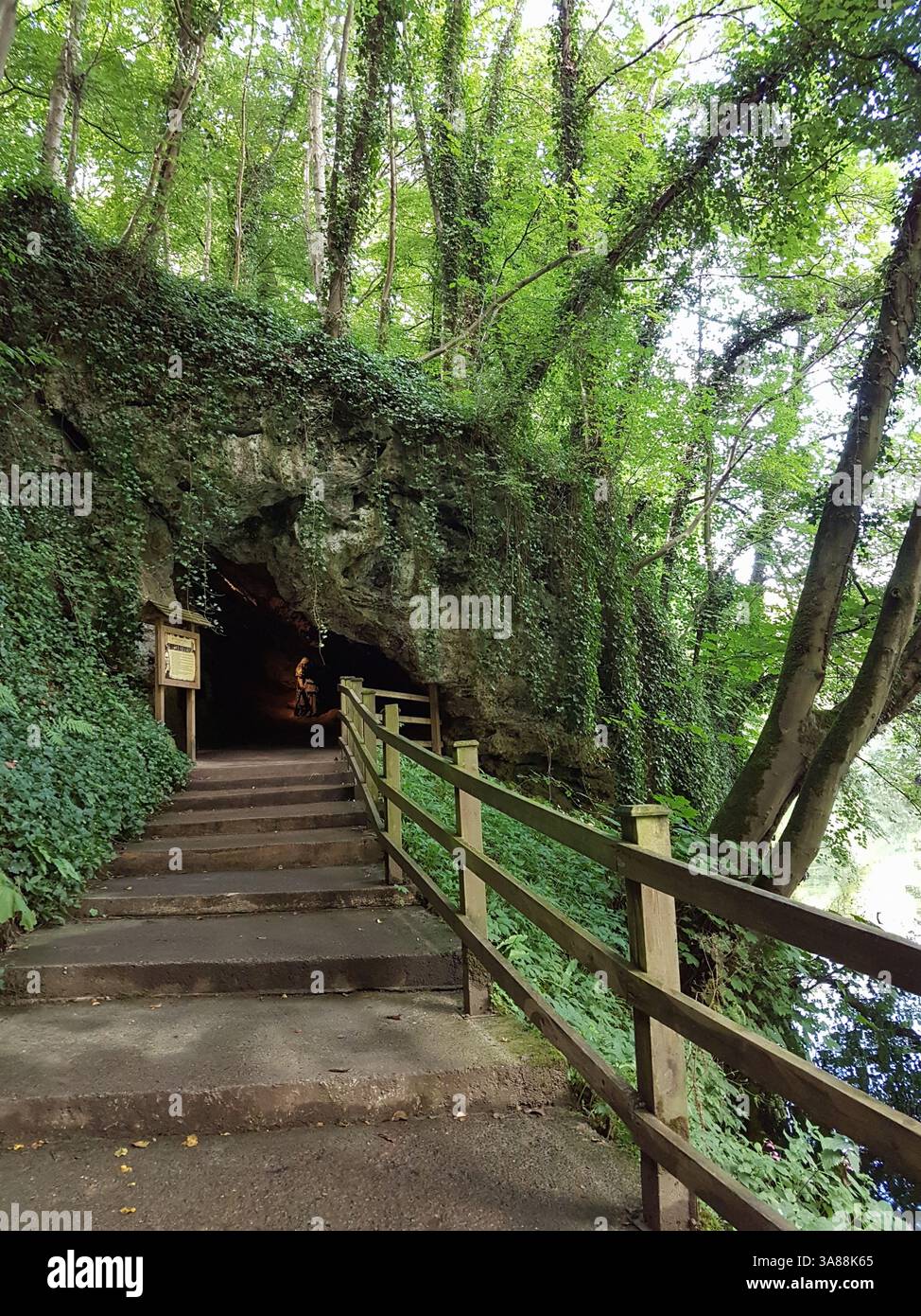 The lush green entrance to historical Mother Shipton’s Cave in ...