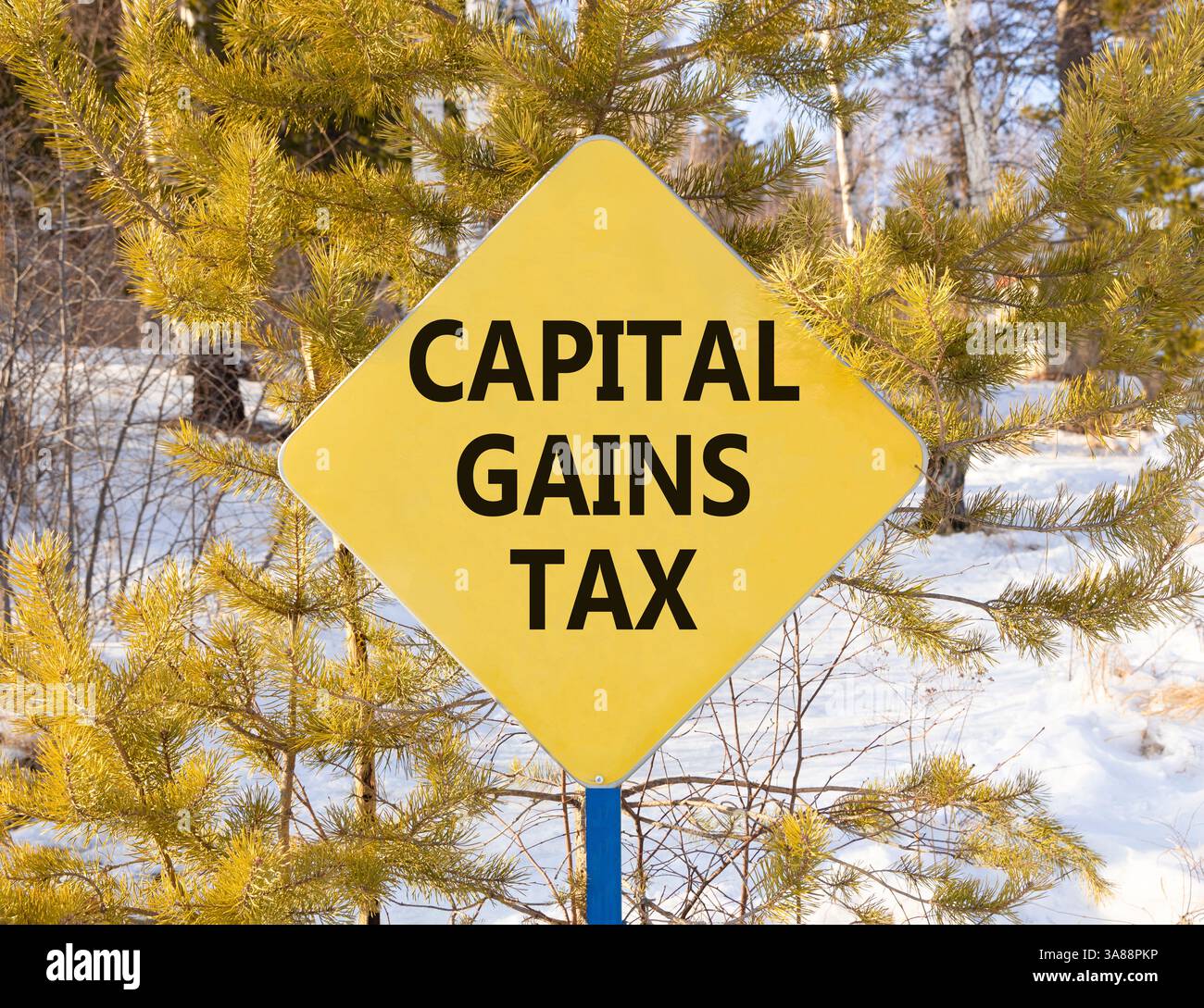 Capital gains tax symbol. Concept words Capital gains tax on beautiful ...