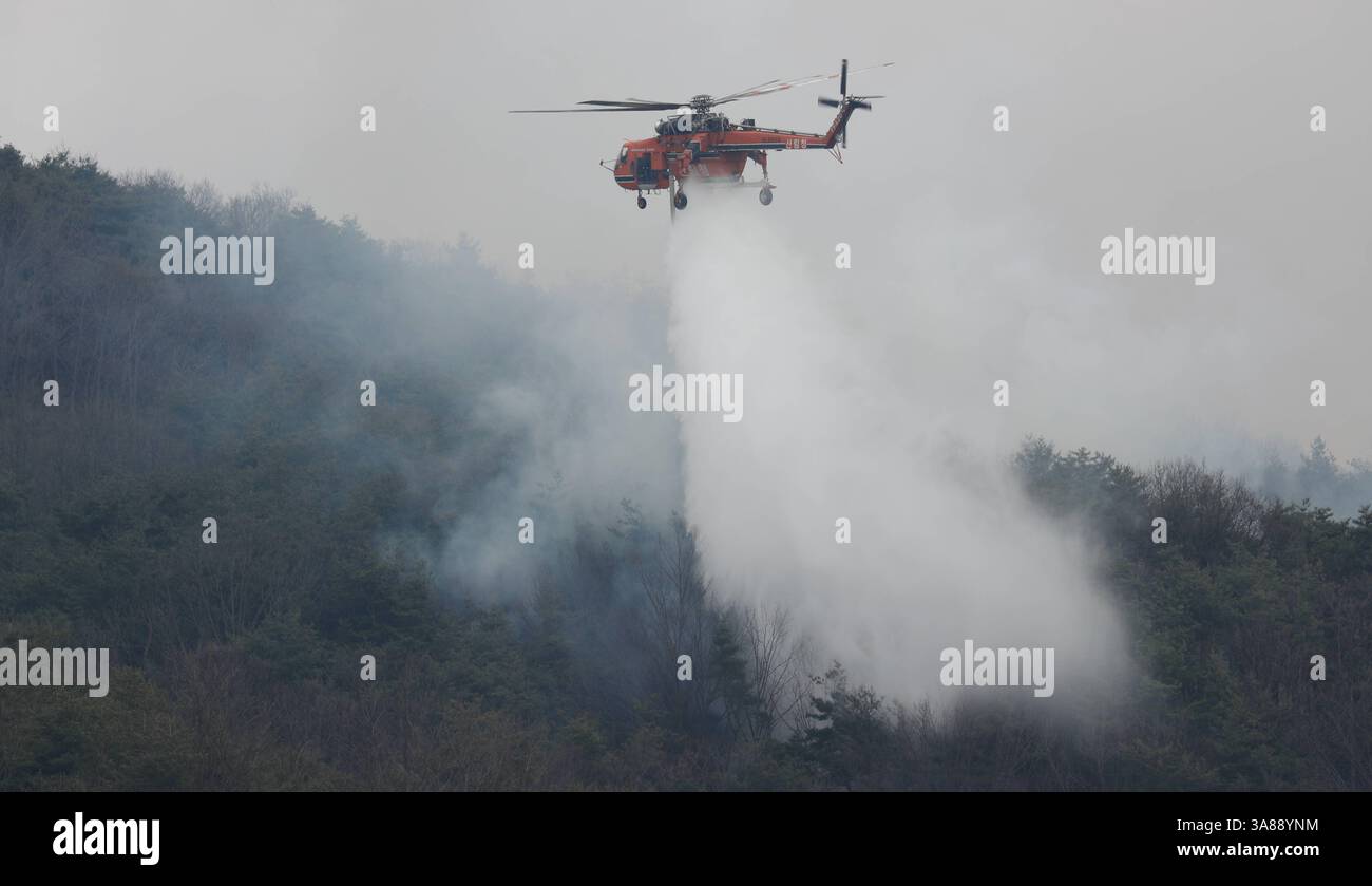 Forest fire MILS280325 4 / Uiseong Korea, Republic Of Copyright: xx ...