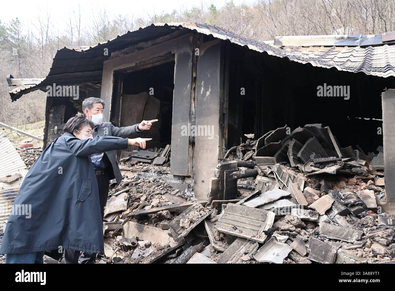 Forest fire MILS280325 13 / Uiseong Korea, Republic Of Copyright: xx ...