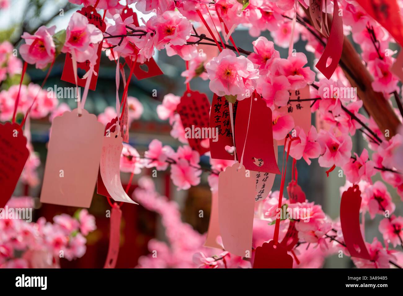 Paper prayers hi-res stock photography and images - Alamy