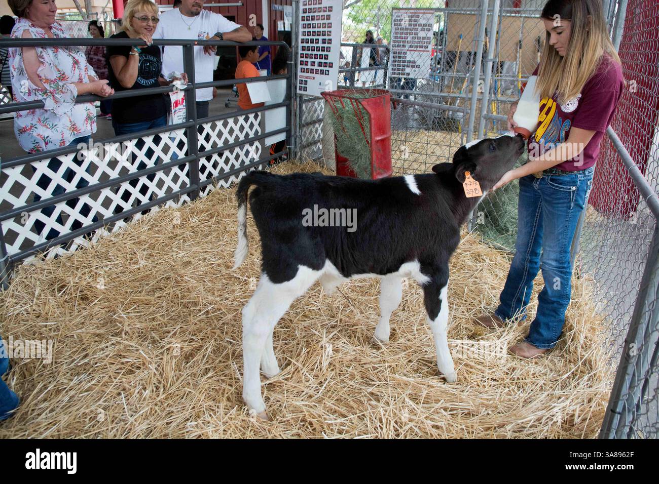 Mackenzie baby hi-res stock photography and images - Alamy