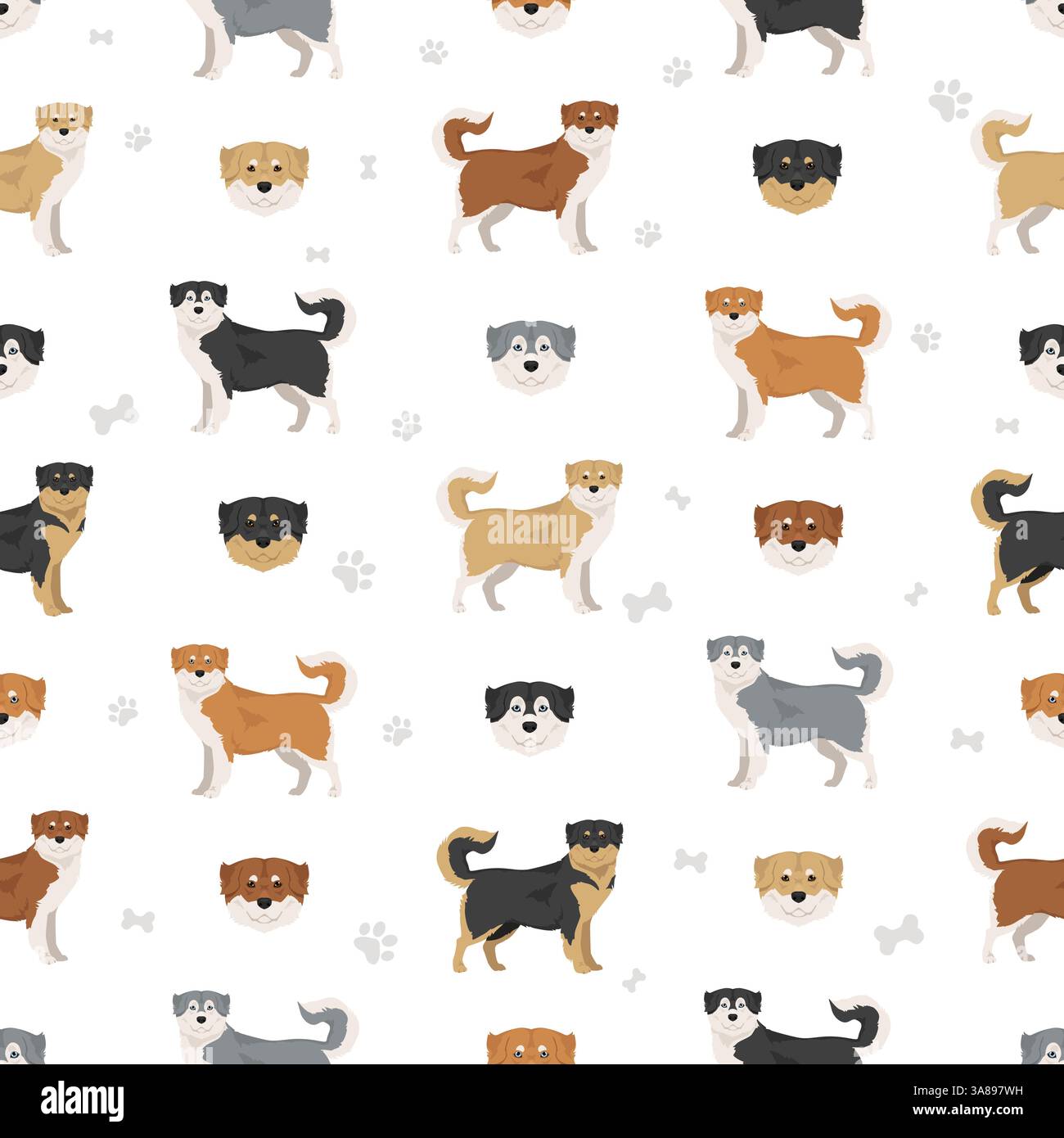 Mixed breed dog cross Stock Vector Images - Alamy