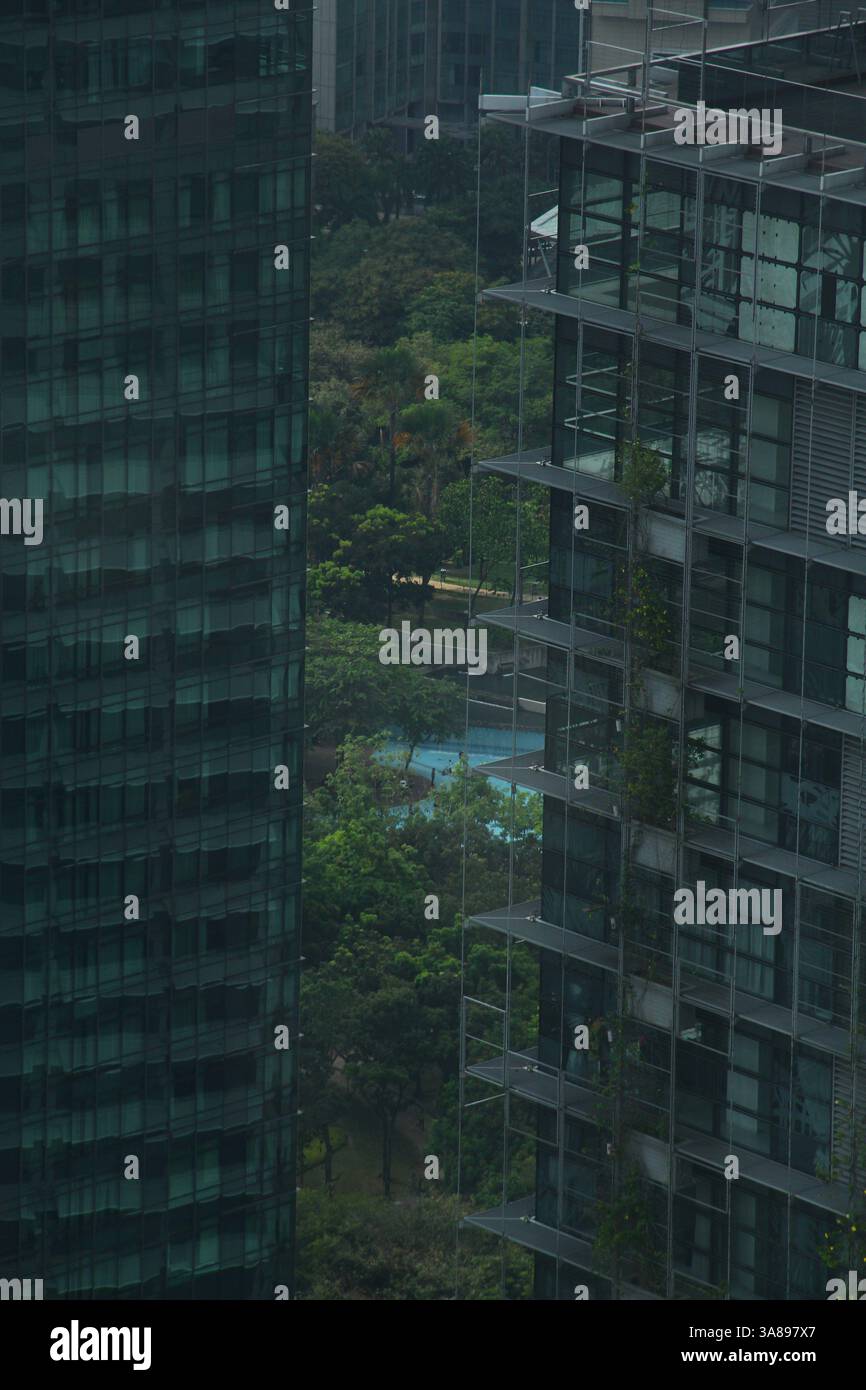 Skyscraper and Jungle Stock Photo - Alamy