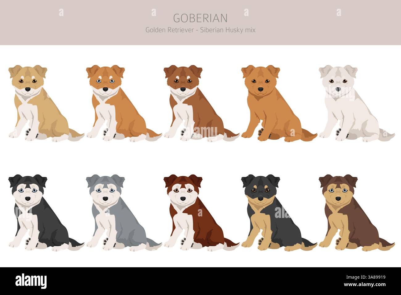 Mixed breed dog cross Stock Vector Images - Alamy