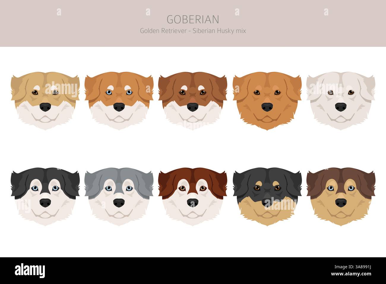 Cross breed dog standing Stock Vector Images - Alamy