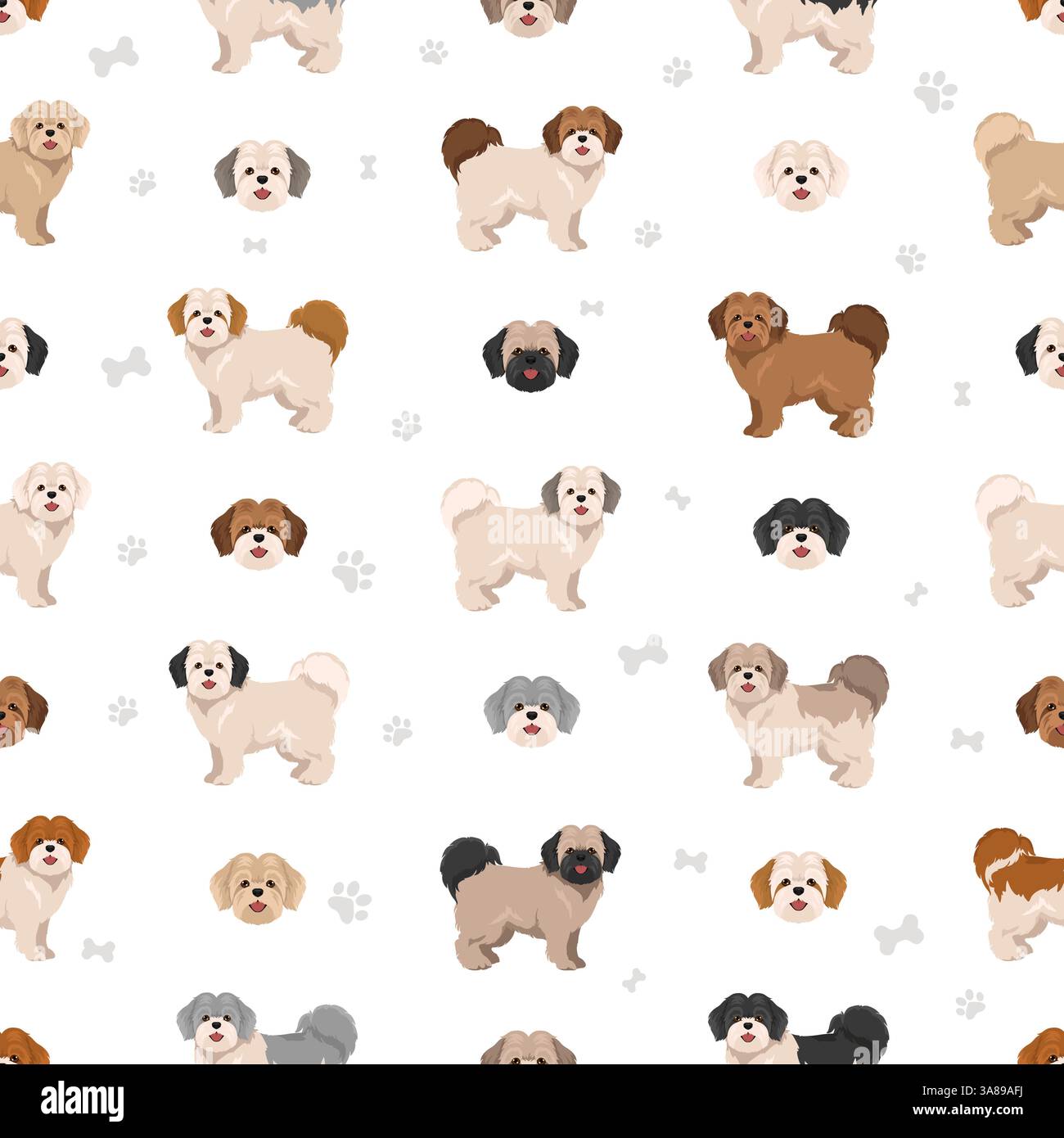 Kyi-Leo dog seamless pattern. Maltese Lhasa Apso mix. Different coat ...