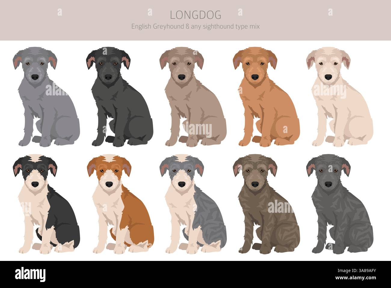 Longdog mix clipart. English Greyhound - any sighthound mix. All ...
