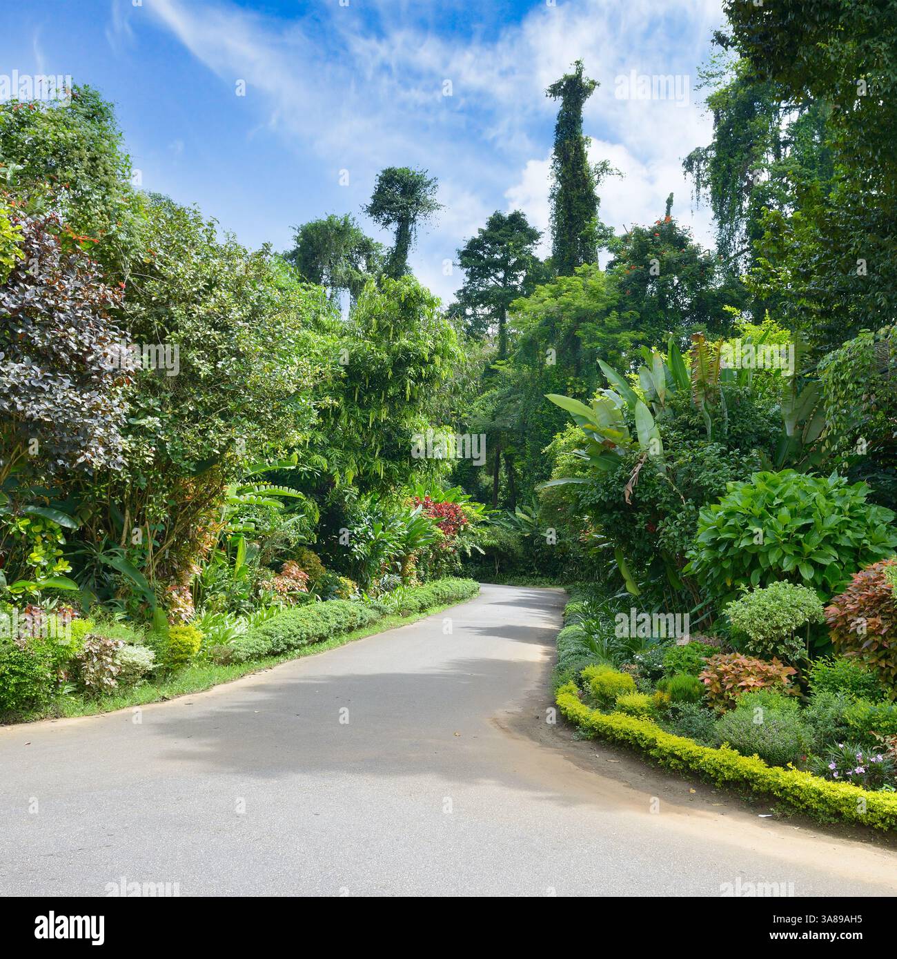 Flower beds with walking path in beautiful park Stock Photo - Alamy