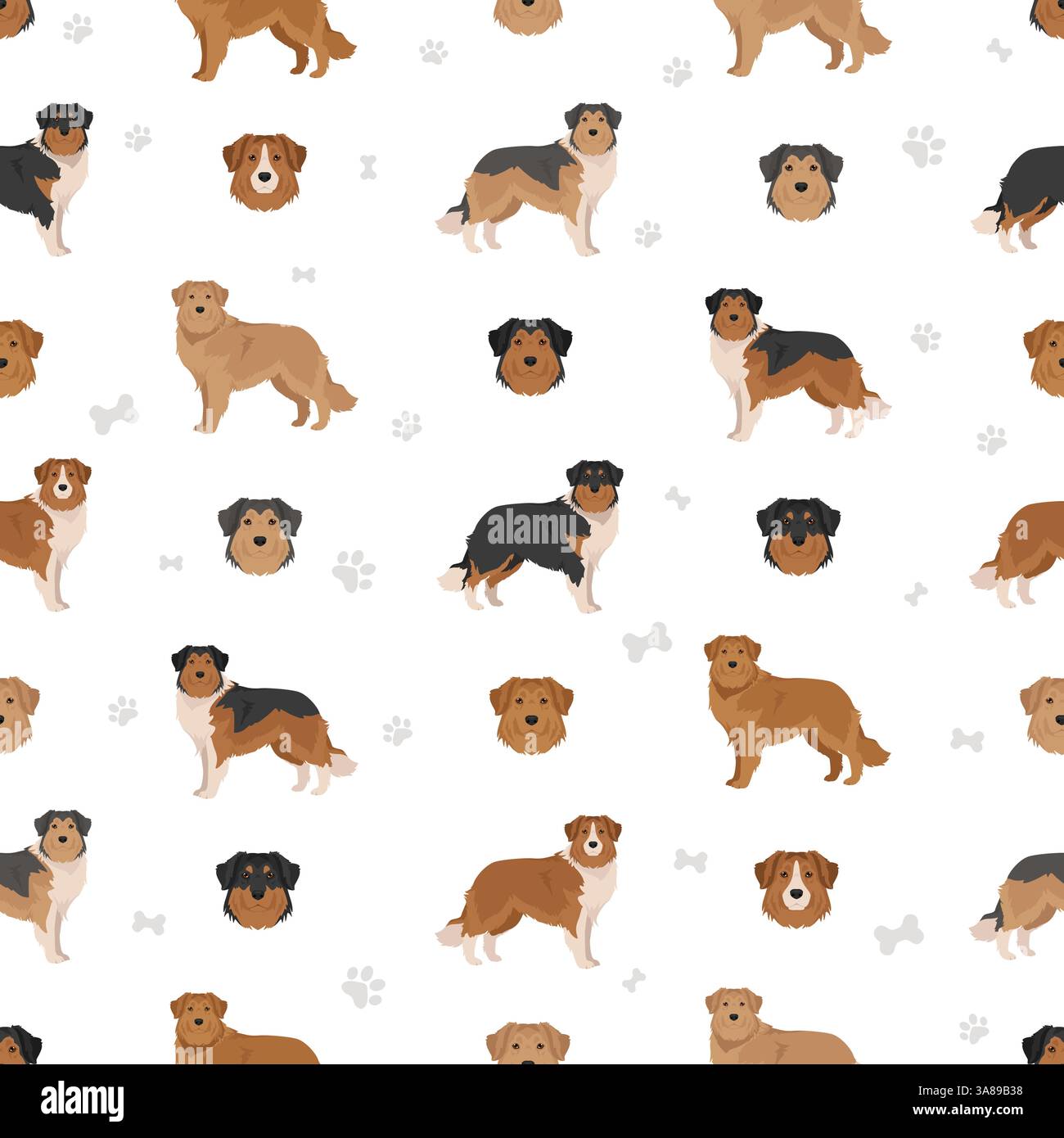 Labollie dog mix seamless pattern. Labrador Retriever - Rough Collie ...