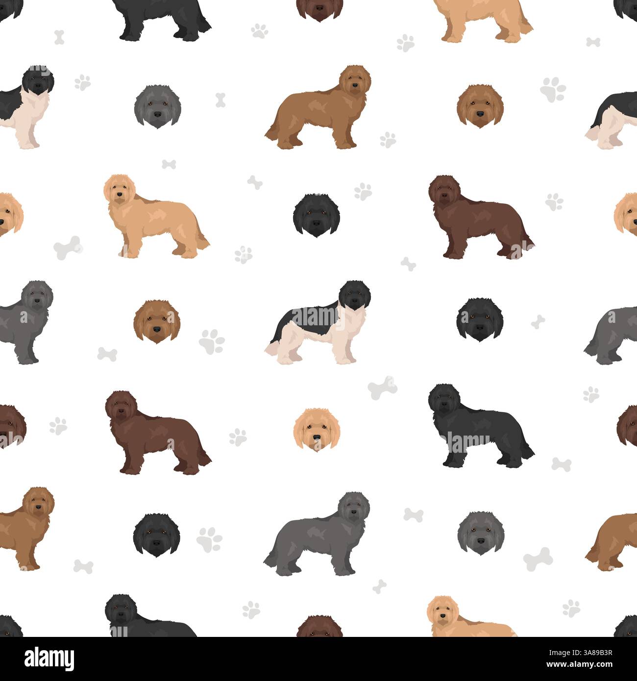 Newfypoo seamless pattern. Newfoundland - Standard Poodle mix. All ...