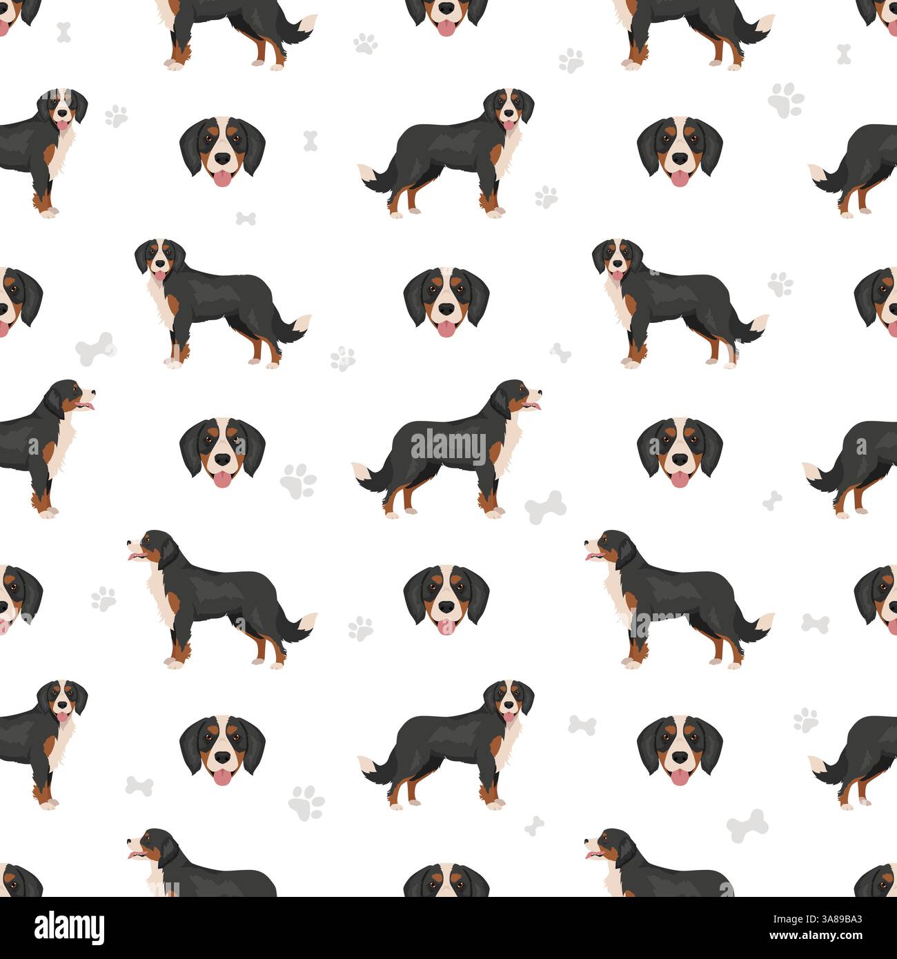 Mini Bernese clipart. Bernese Mountain dog - Cavalier King Charles ...