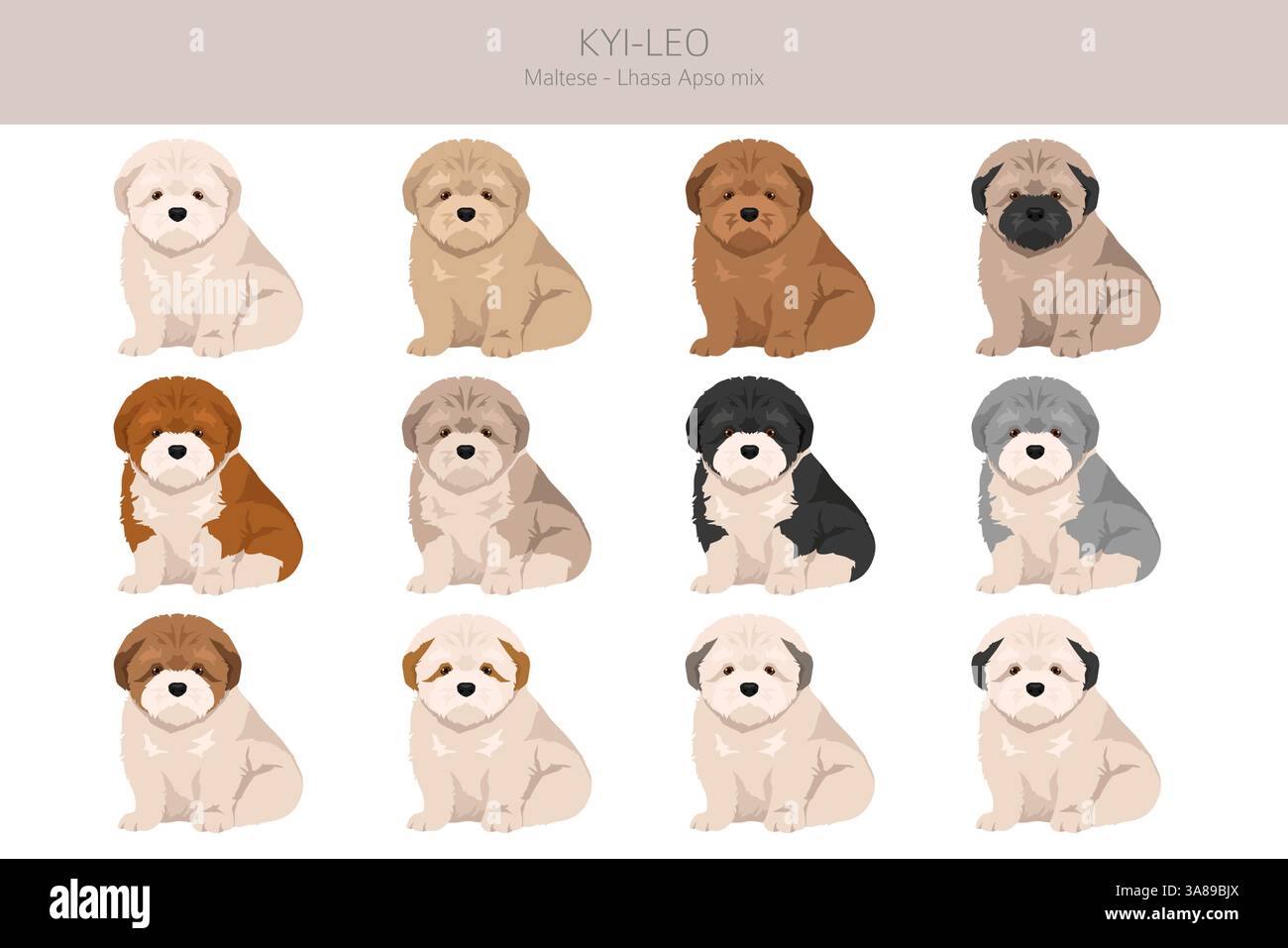 Maltese dog cartoon illustration hi-res stock photography and images ...