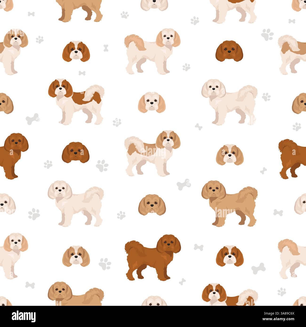 Maltalier, Cavamalt seamless pattern. Maltese Cavalier king Charles ...