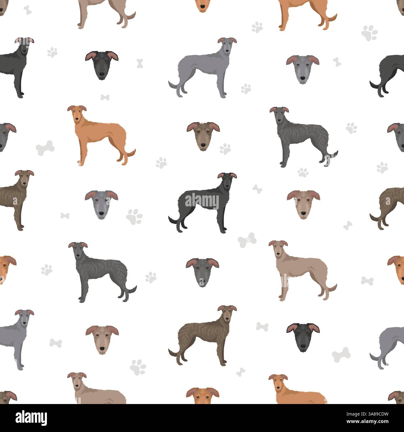 Longdog mix seamless pattern English Greyhound - any sighthound mix ...