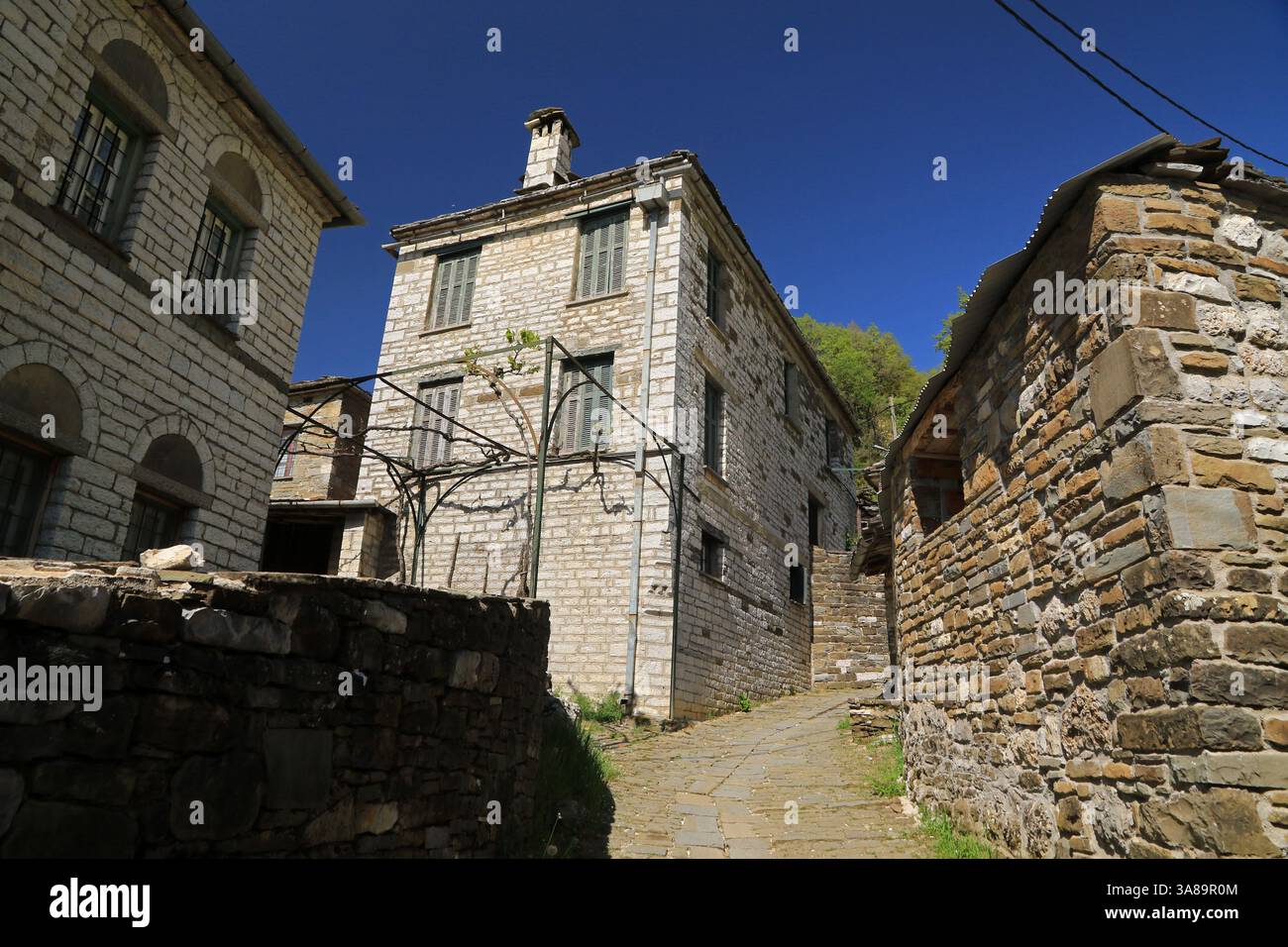 Mikro papigo hi-res stock photography and images - Alamy